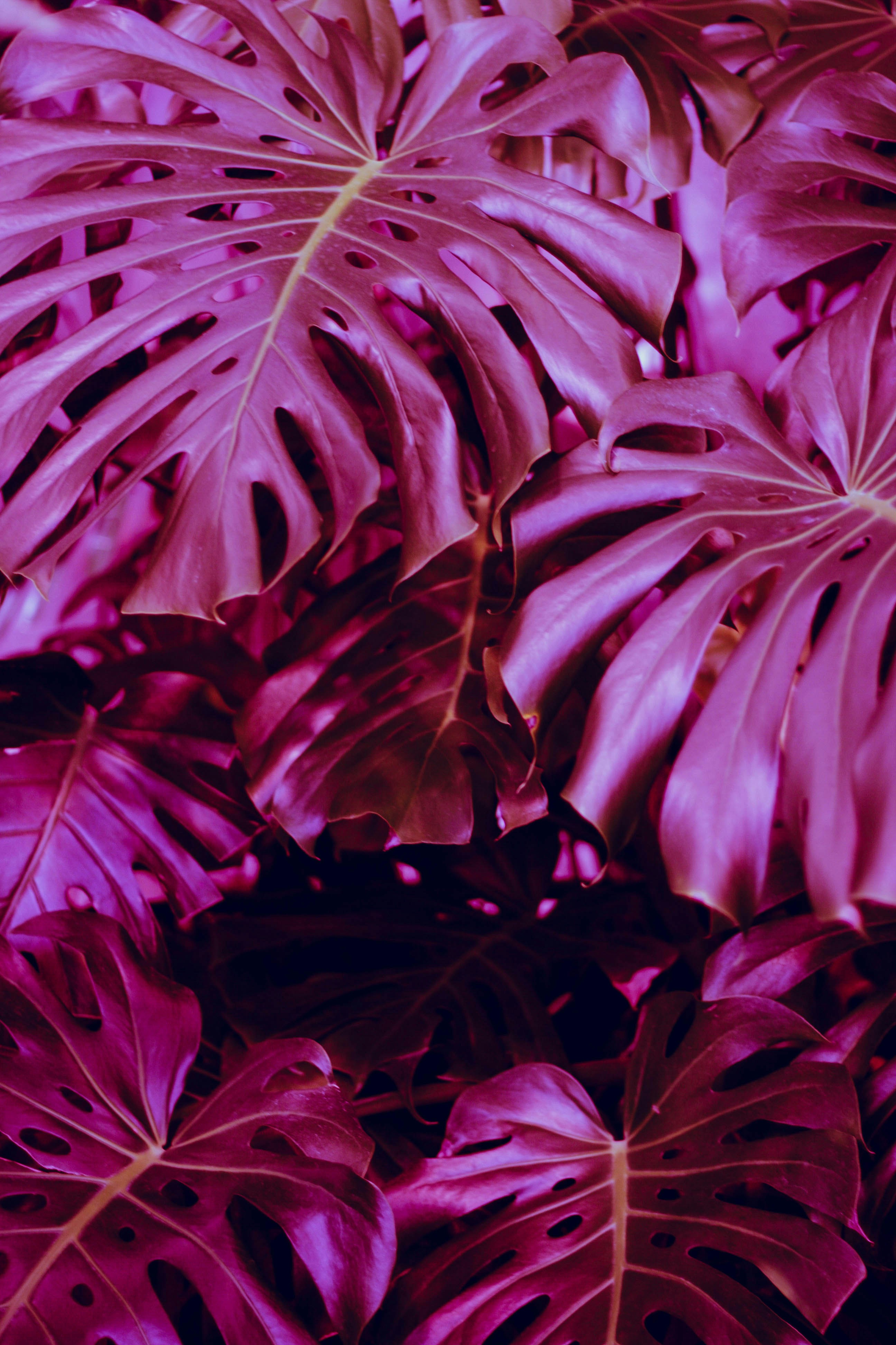 Photo by Anna Zakharova with Canon EOS 400D