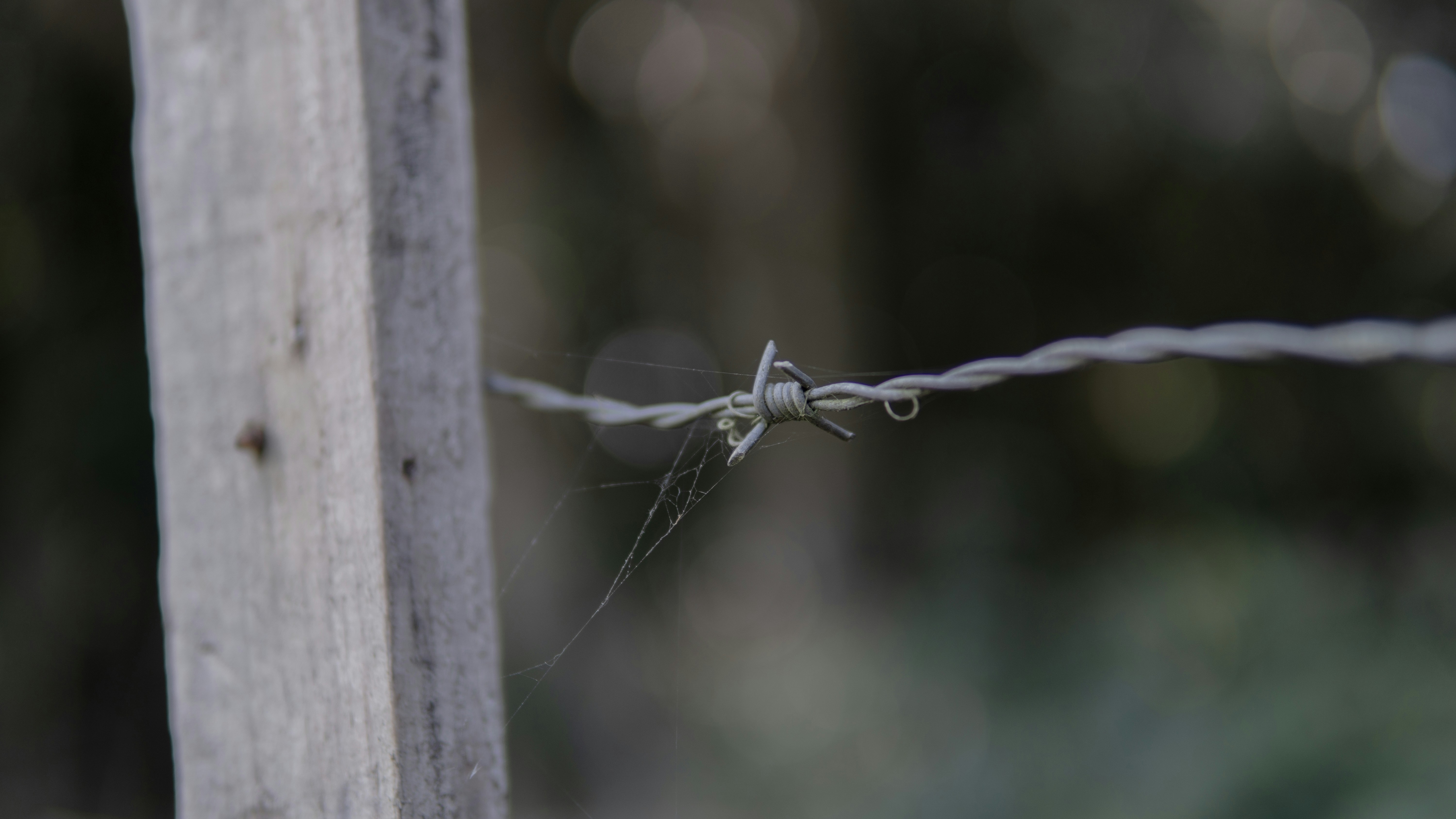 Knot in the Wire: Close-Up on Tension in Weathered Fence