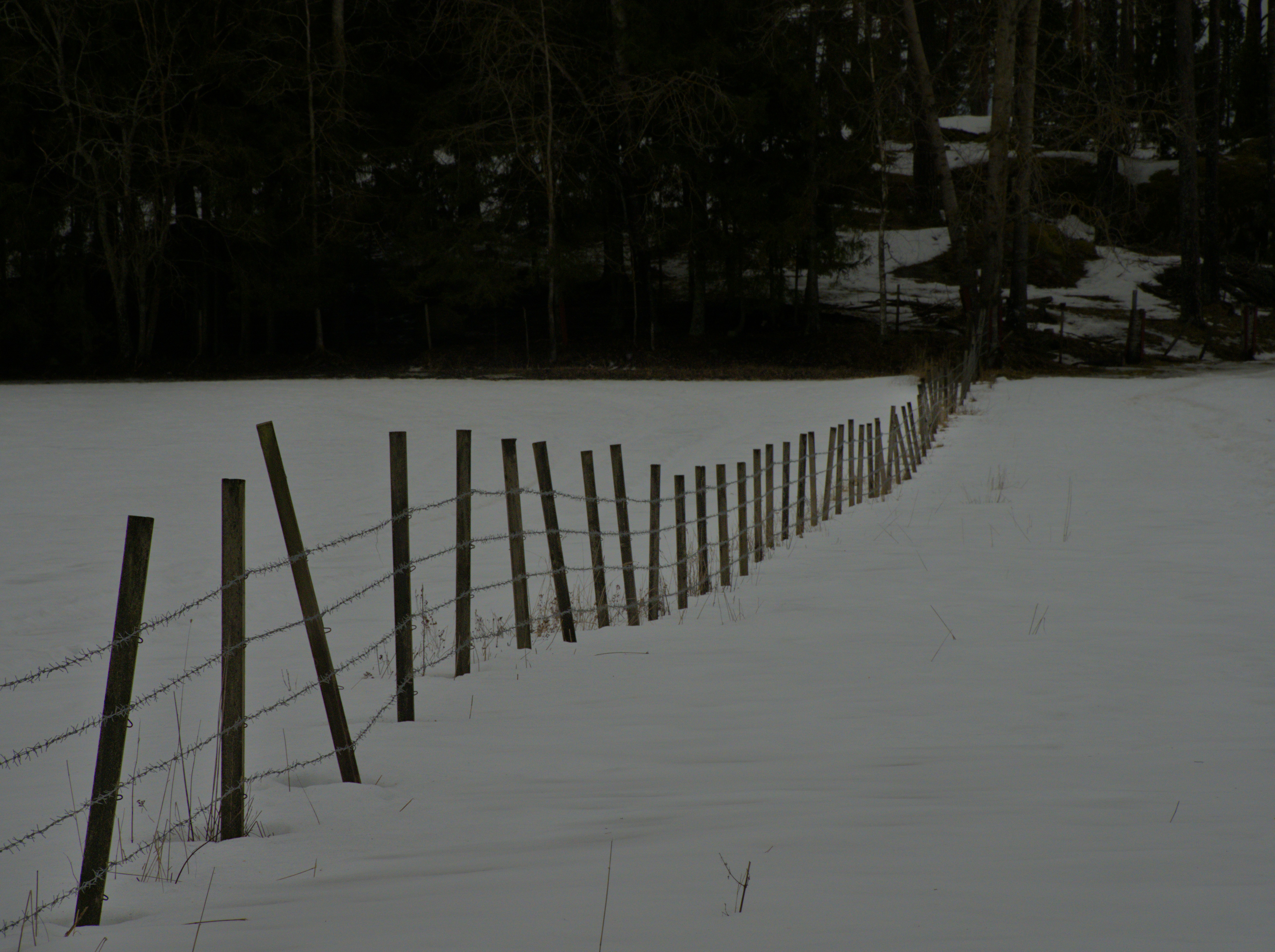 A row of wooden fences in the snow photo – Free Winter Image on Unsplash
