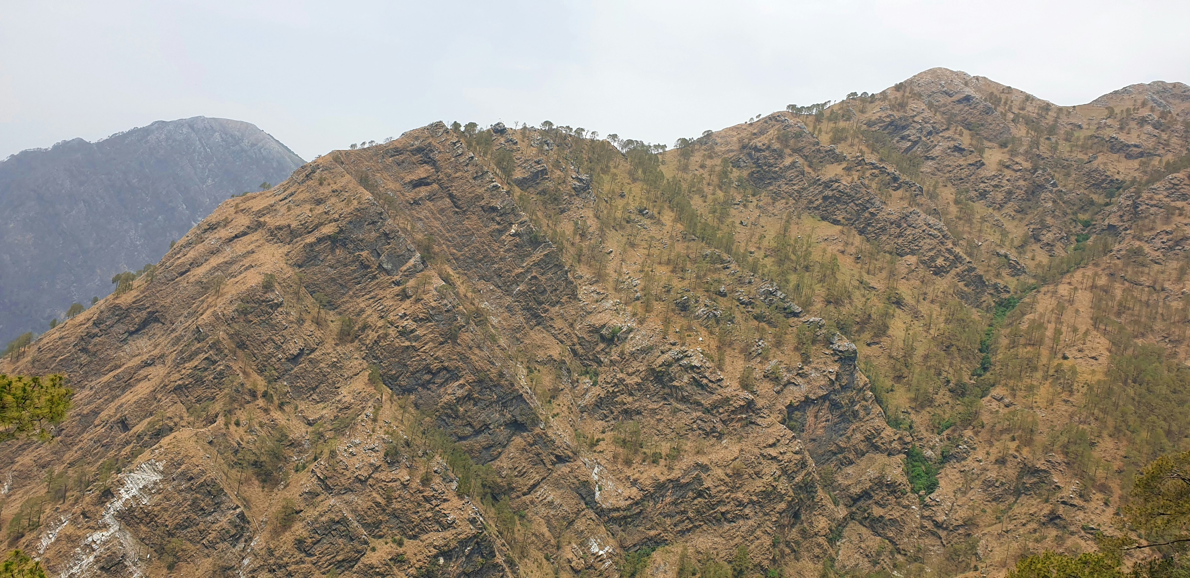 " Each fresh peak ascended teaches something."