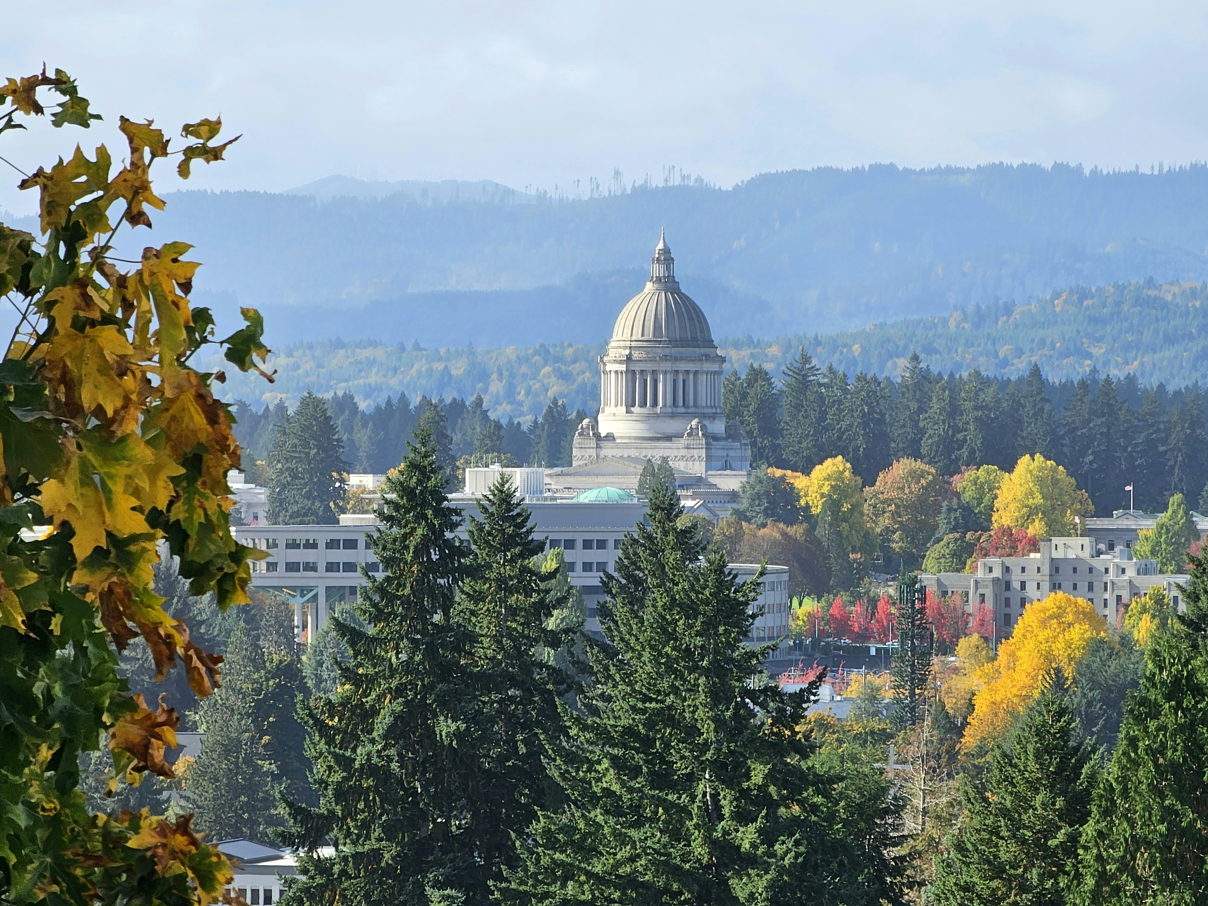 A view of the capitol building from across the trees photo – Free Grey ...
