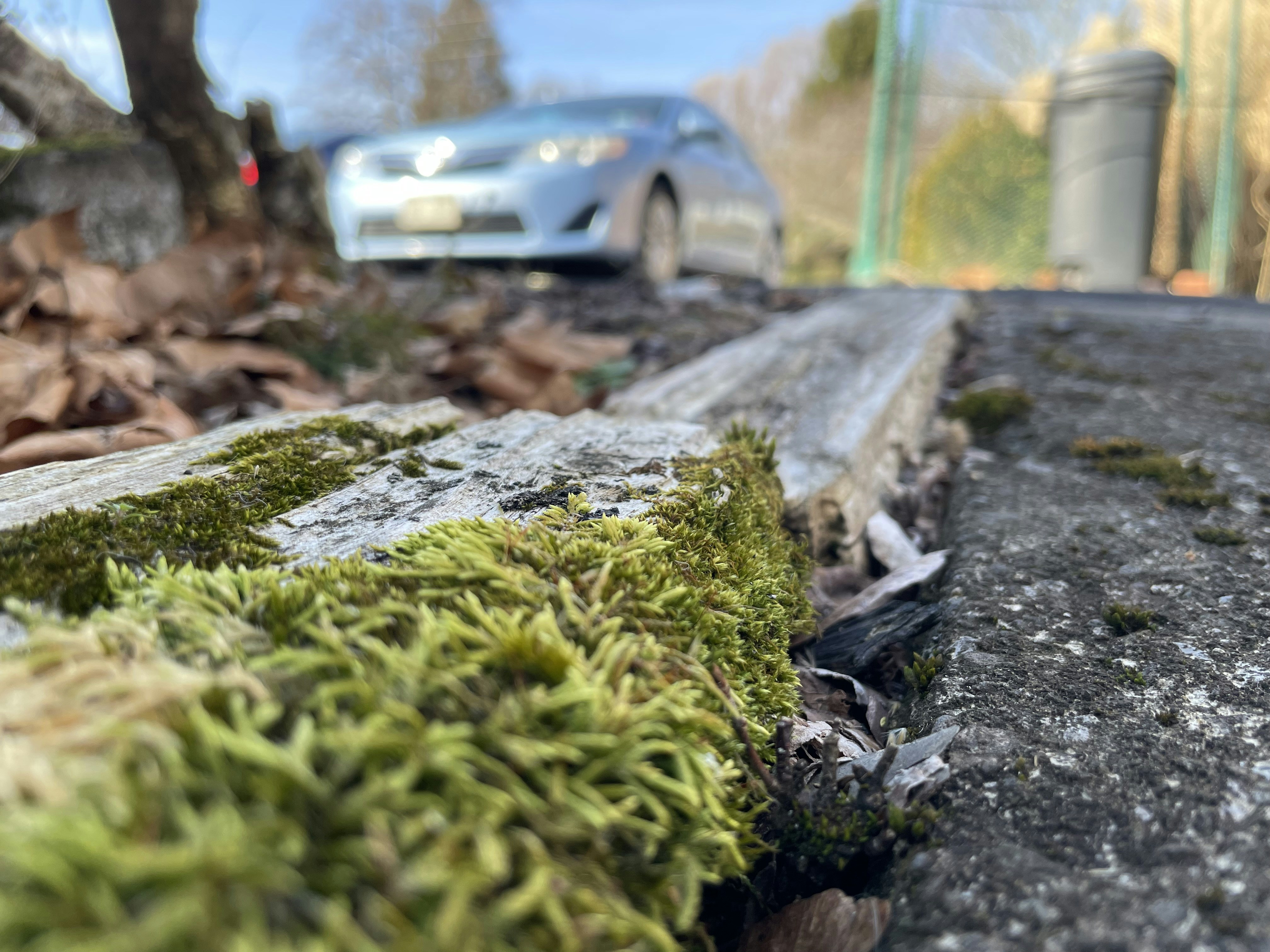 Mossy Curb: A Close-Up Study with a Distant Car in Soft Focus