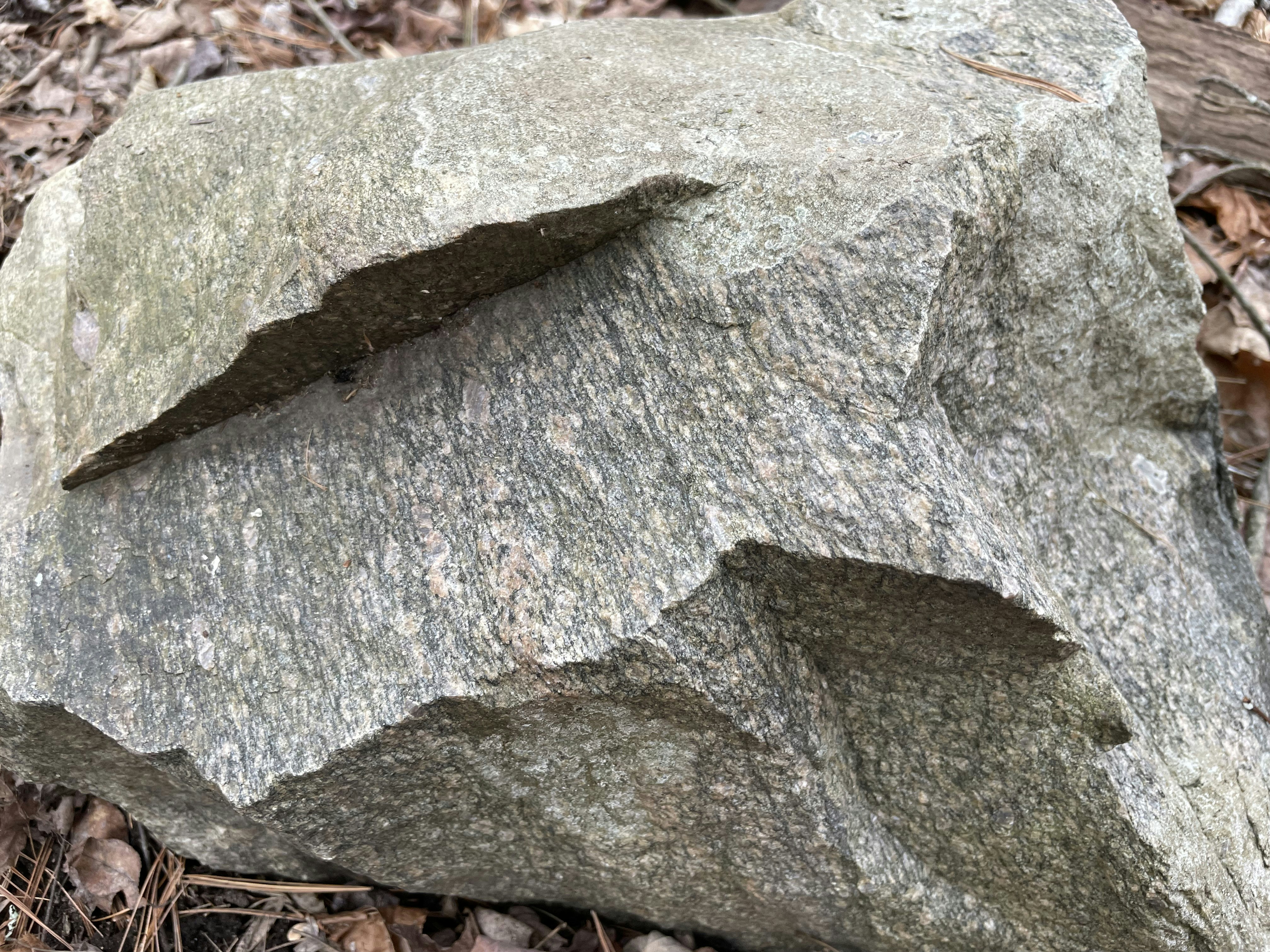 A close up of a rock with holes in it photo – Free Grey Image on Unsplash