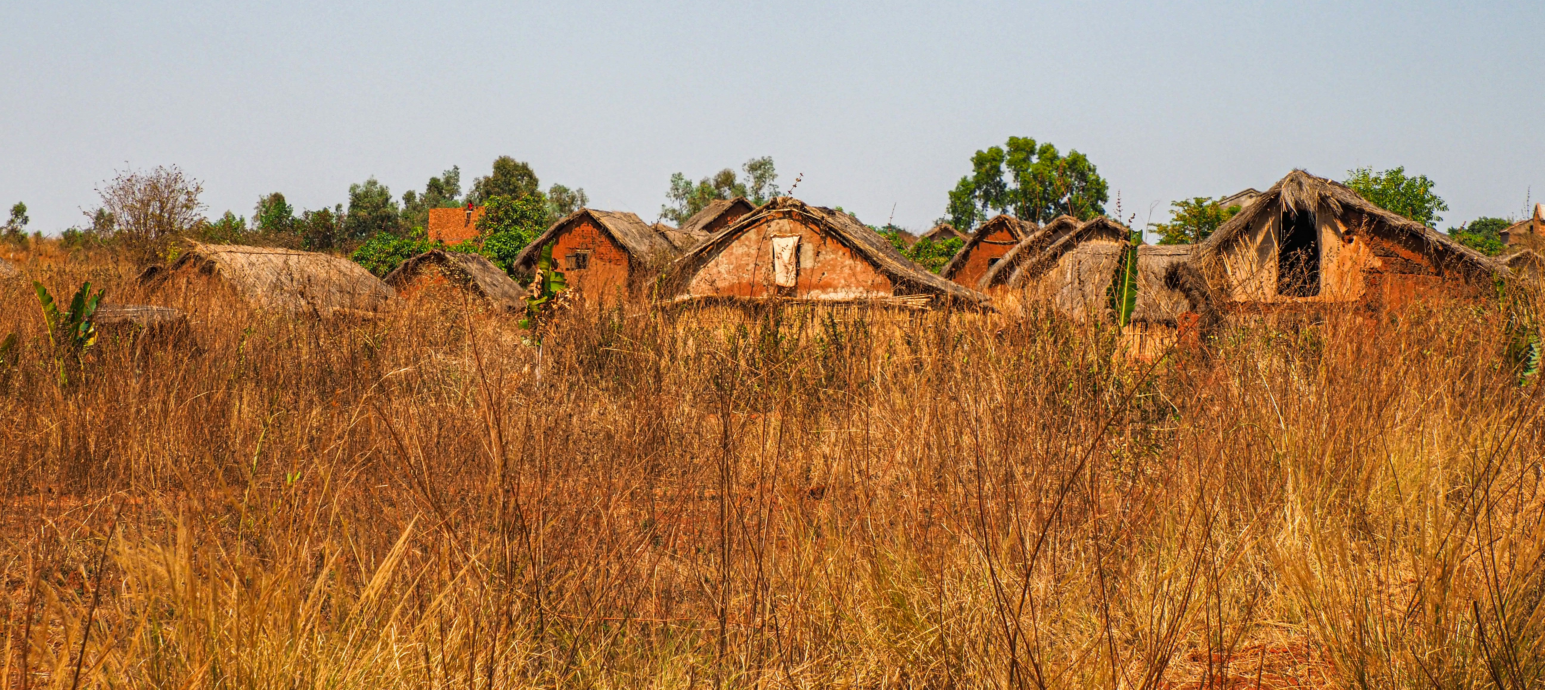 Thatched Horizon: A Quiet Village Nested in Golden Prairie