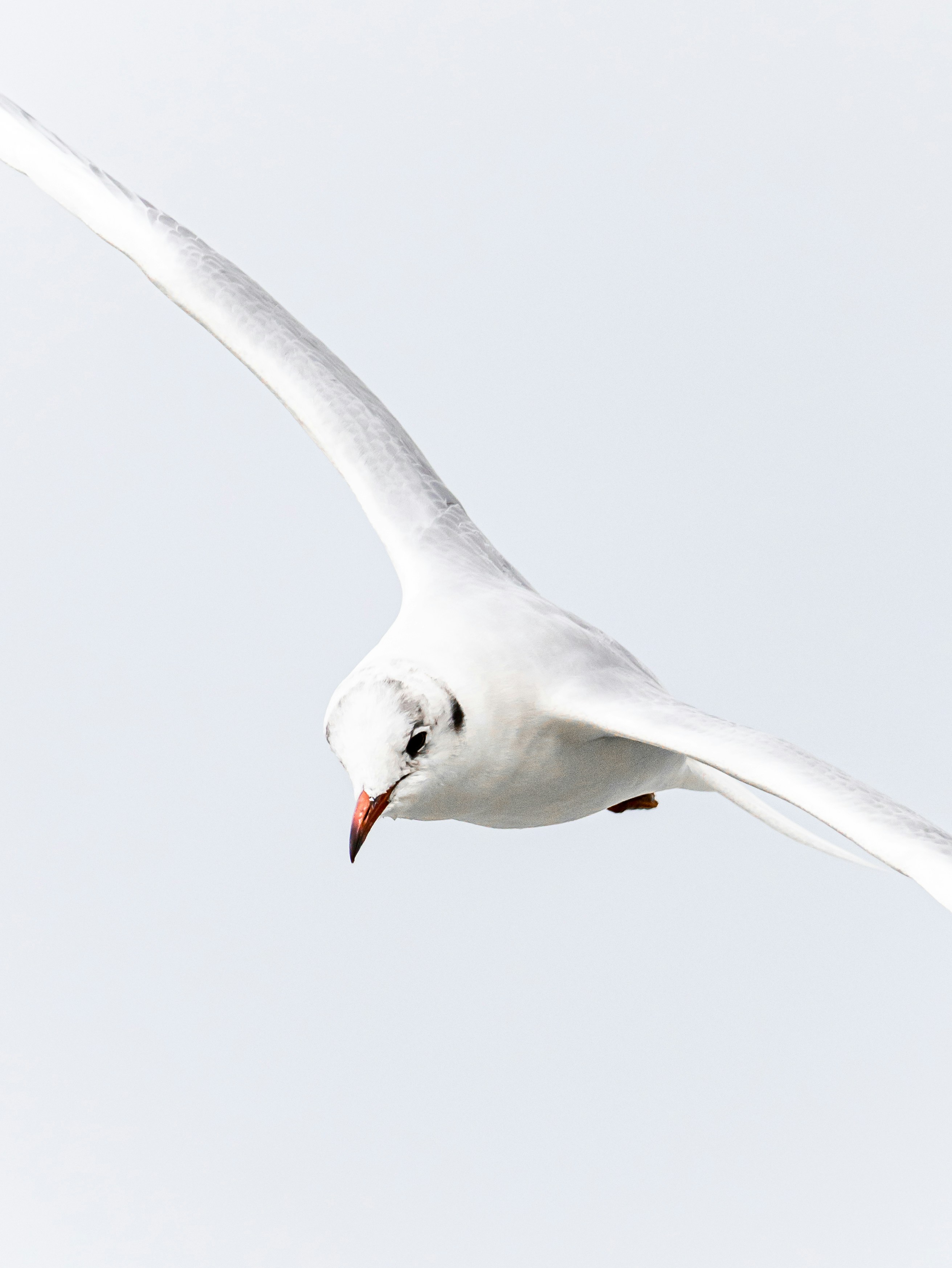 Photo by Damian Karpiński with Canon EOS M50 Mark II