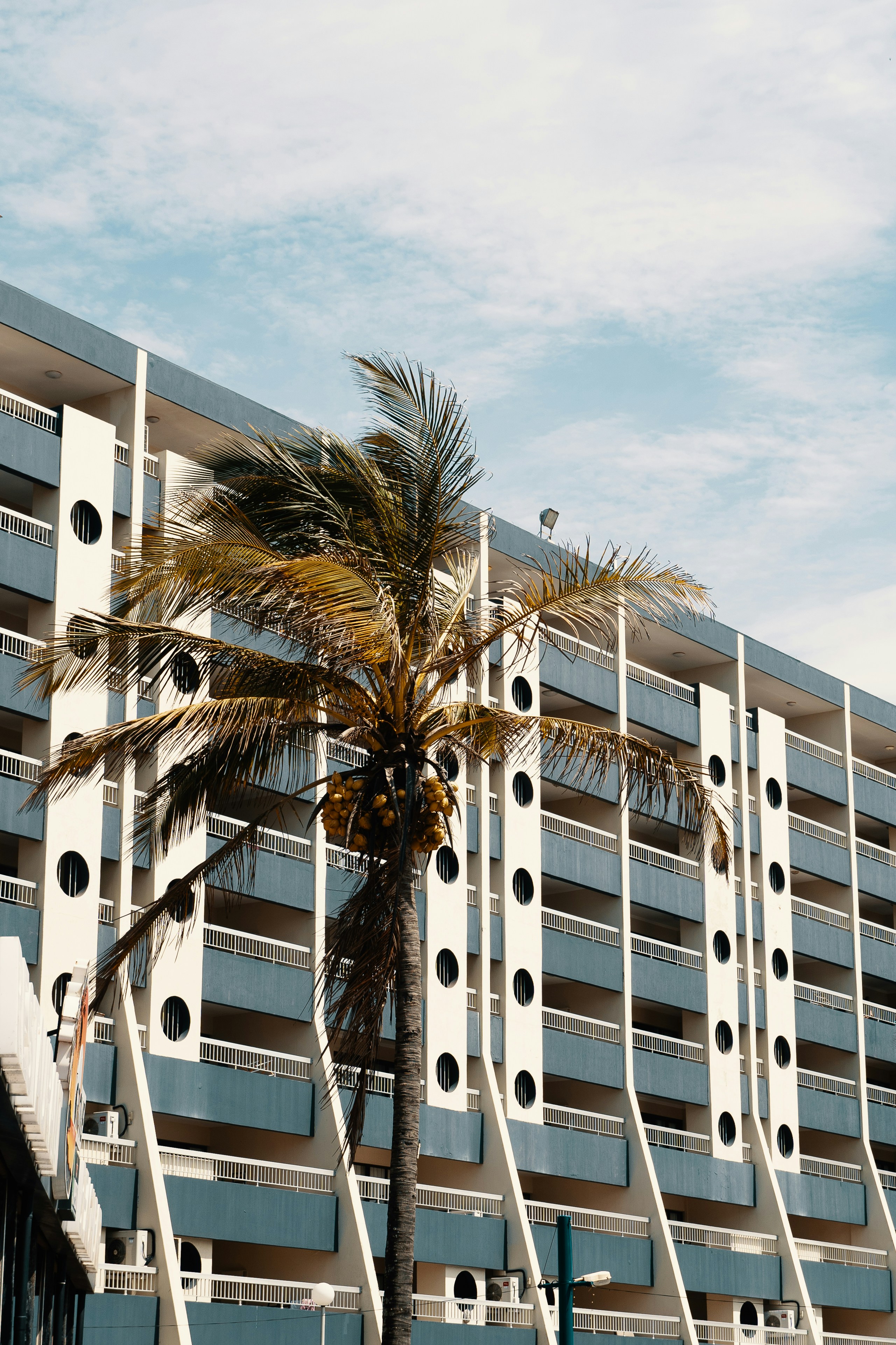 A tall building with a palm tree in front of it photo – Free Margate ...