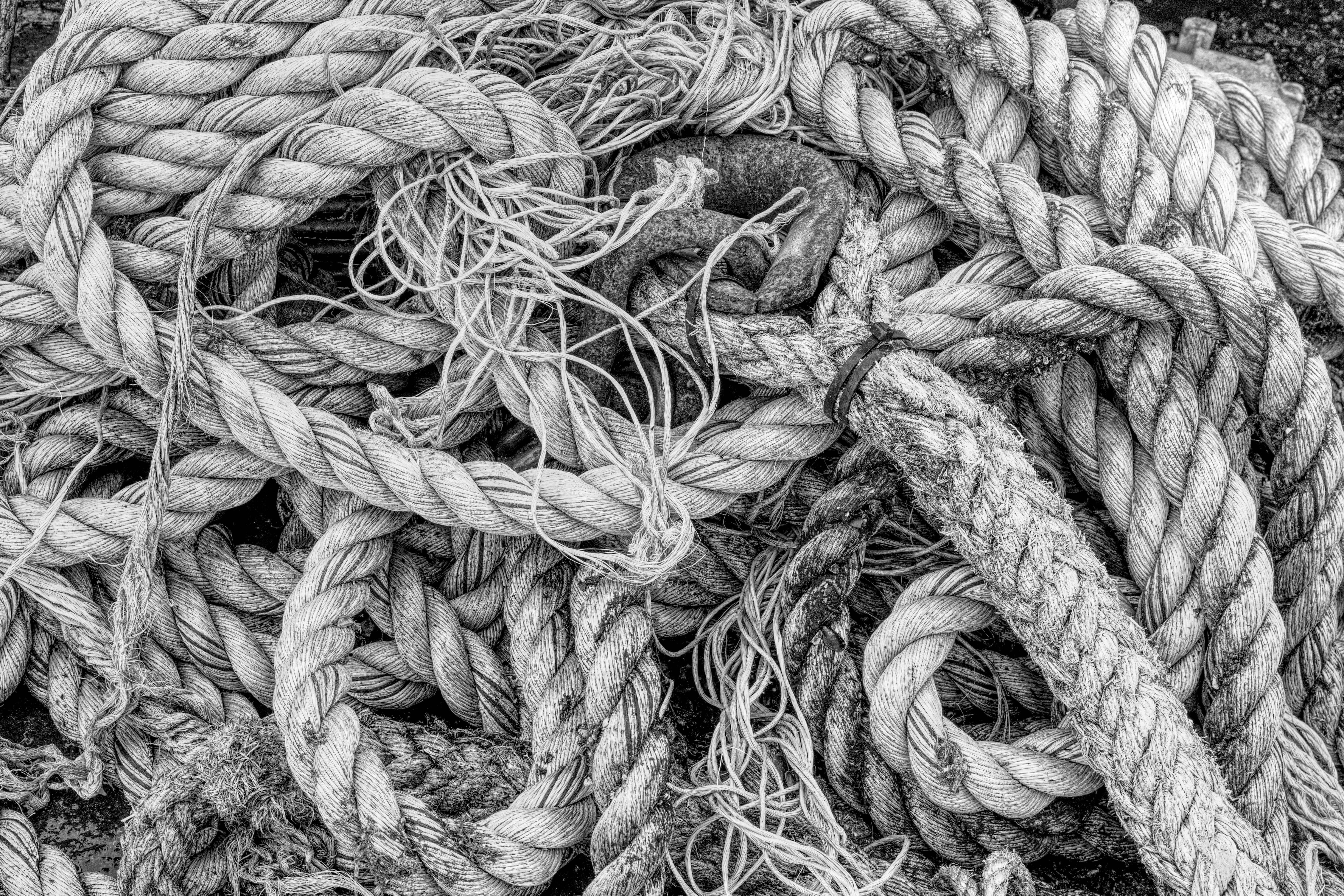 A bunch of rope that is laying on the ground photo – Free Ropes Image ...