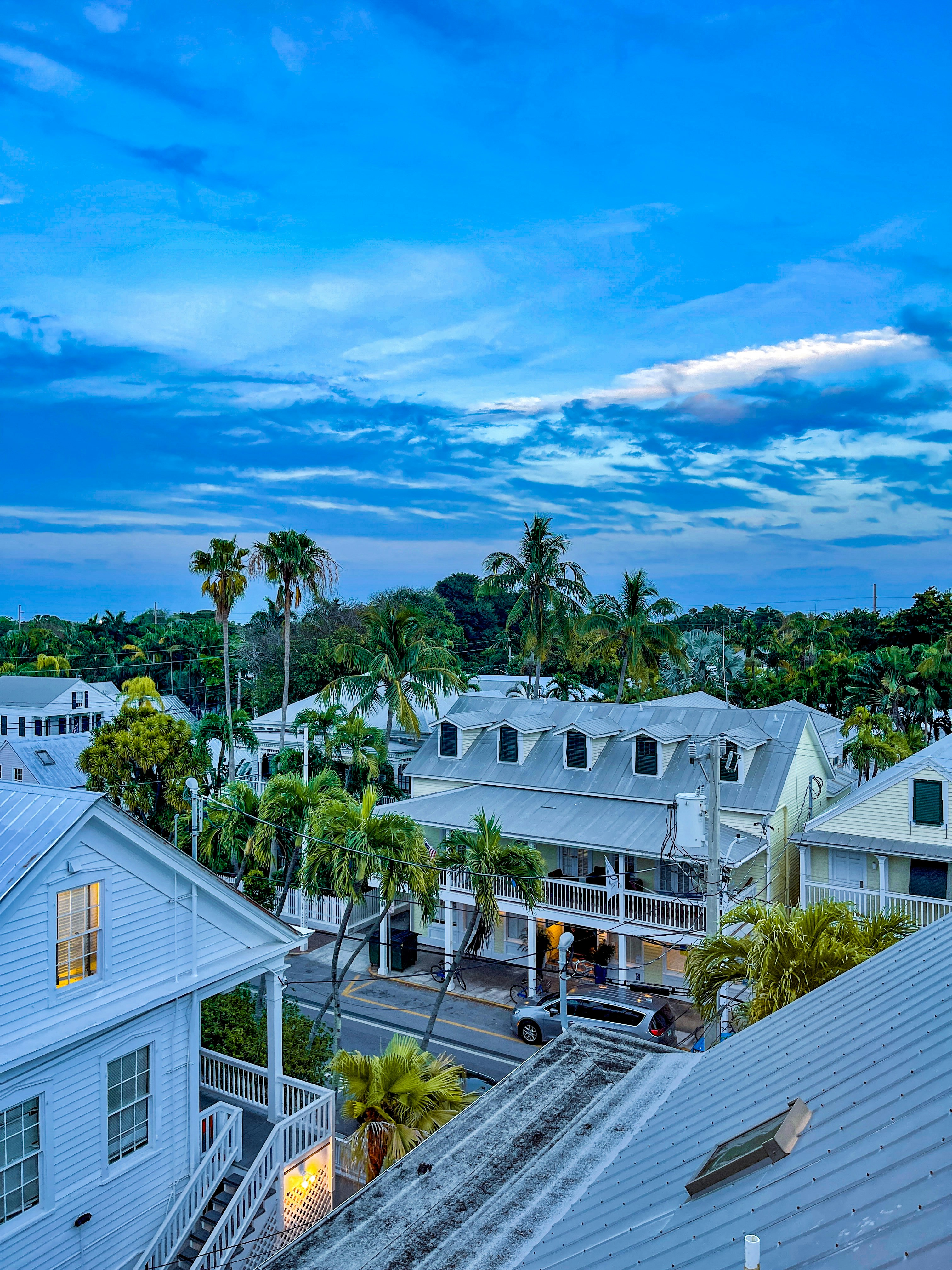 A panoramic view of a coastal neighborhood, showcasing palm trees, historic buildings, and a vibrant sky at dusk.