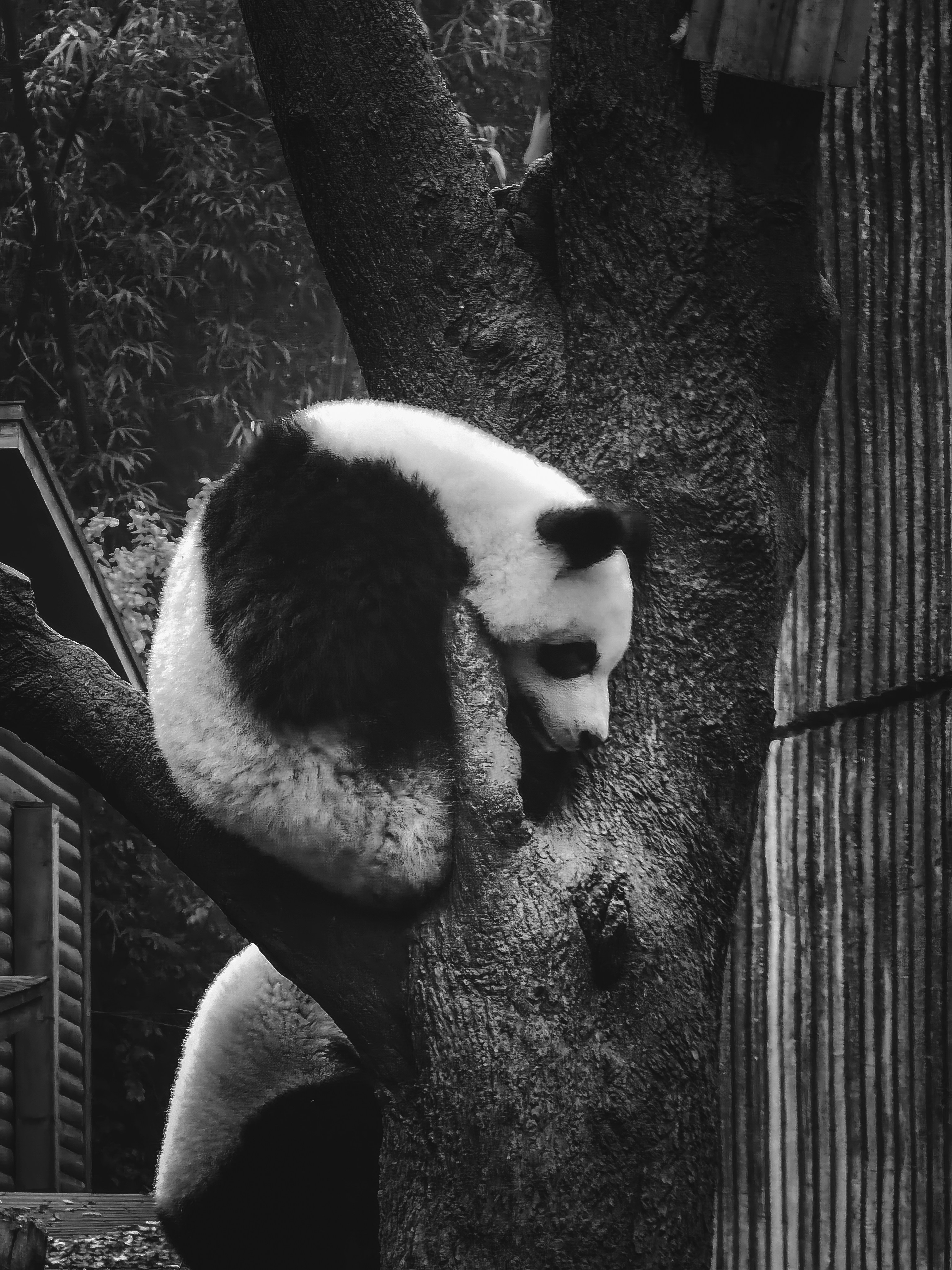 Photo by wu yi with Huawei P40 Pro Plus