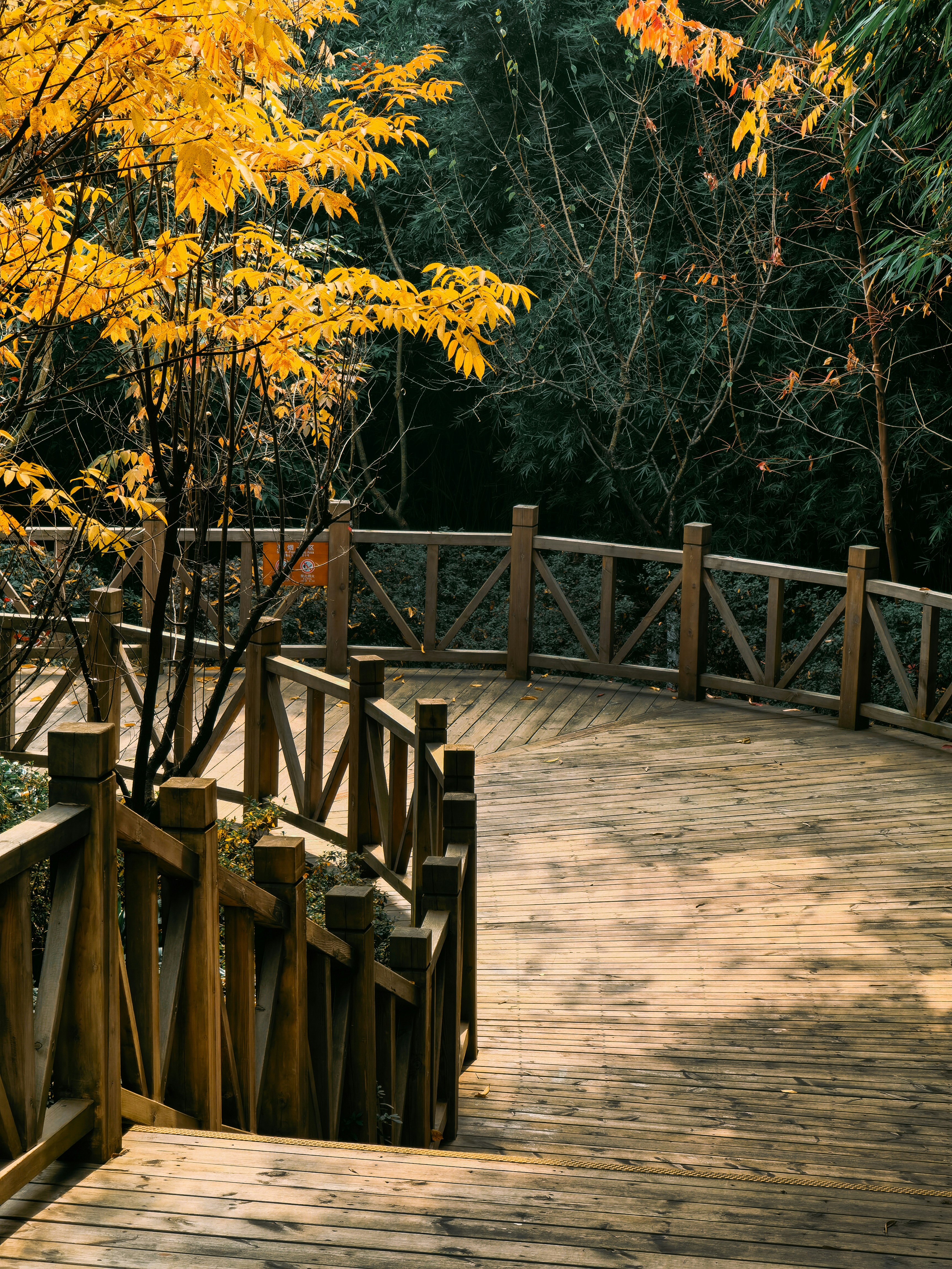 a wooden bridge surrounded by trees with yellow leaves