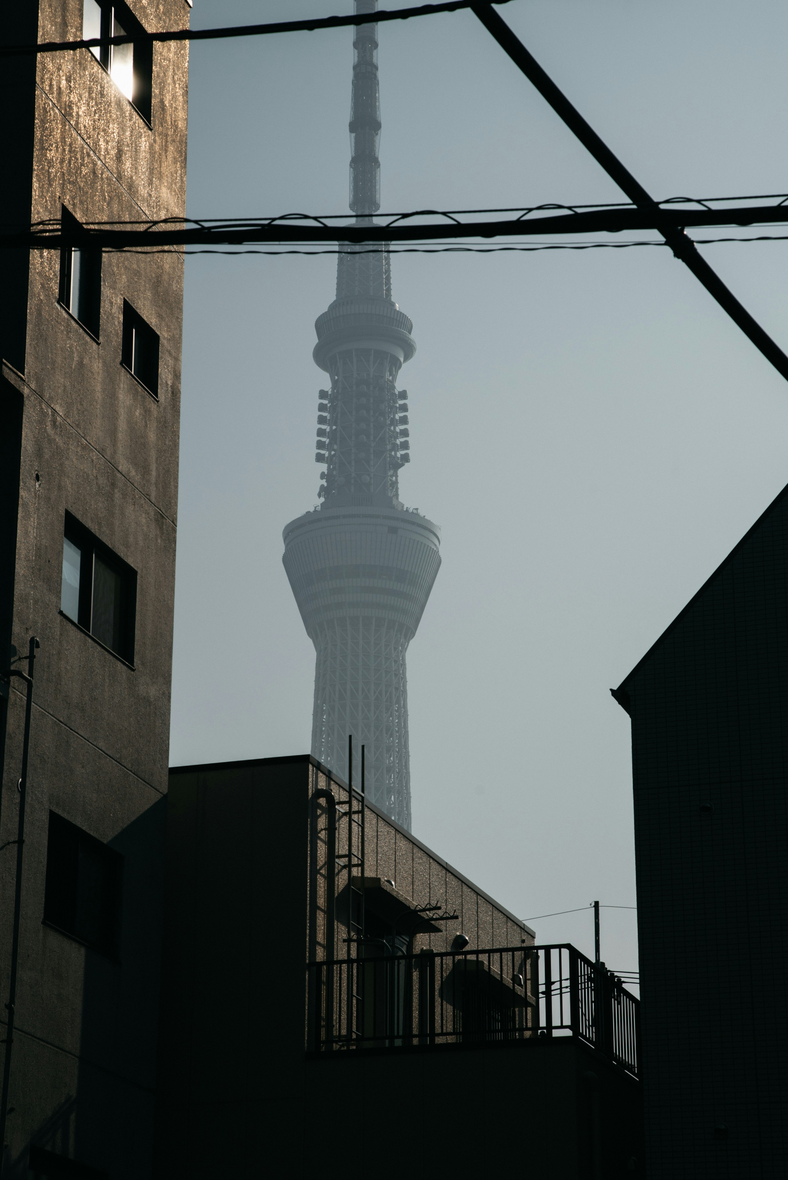 Tokyo Skytree looms in the background, framed by the silhouettes of surrounding buildings and power lines. A moody atmosphere highlights the urban landscape.