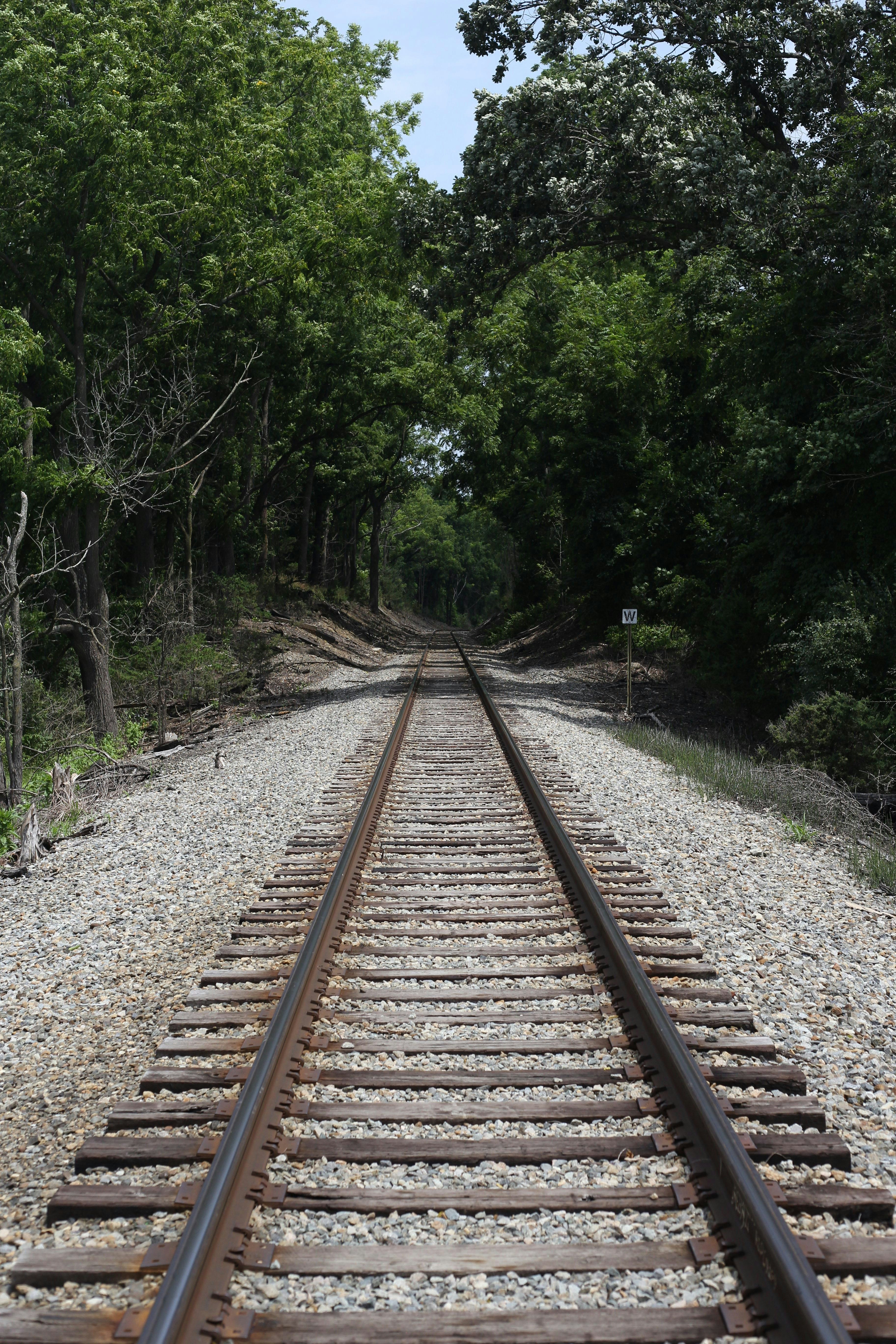 A train track running through a wooded area photo – Free Stairway to ...