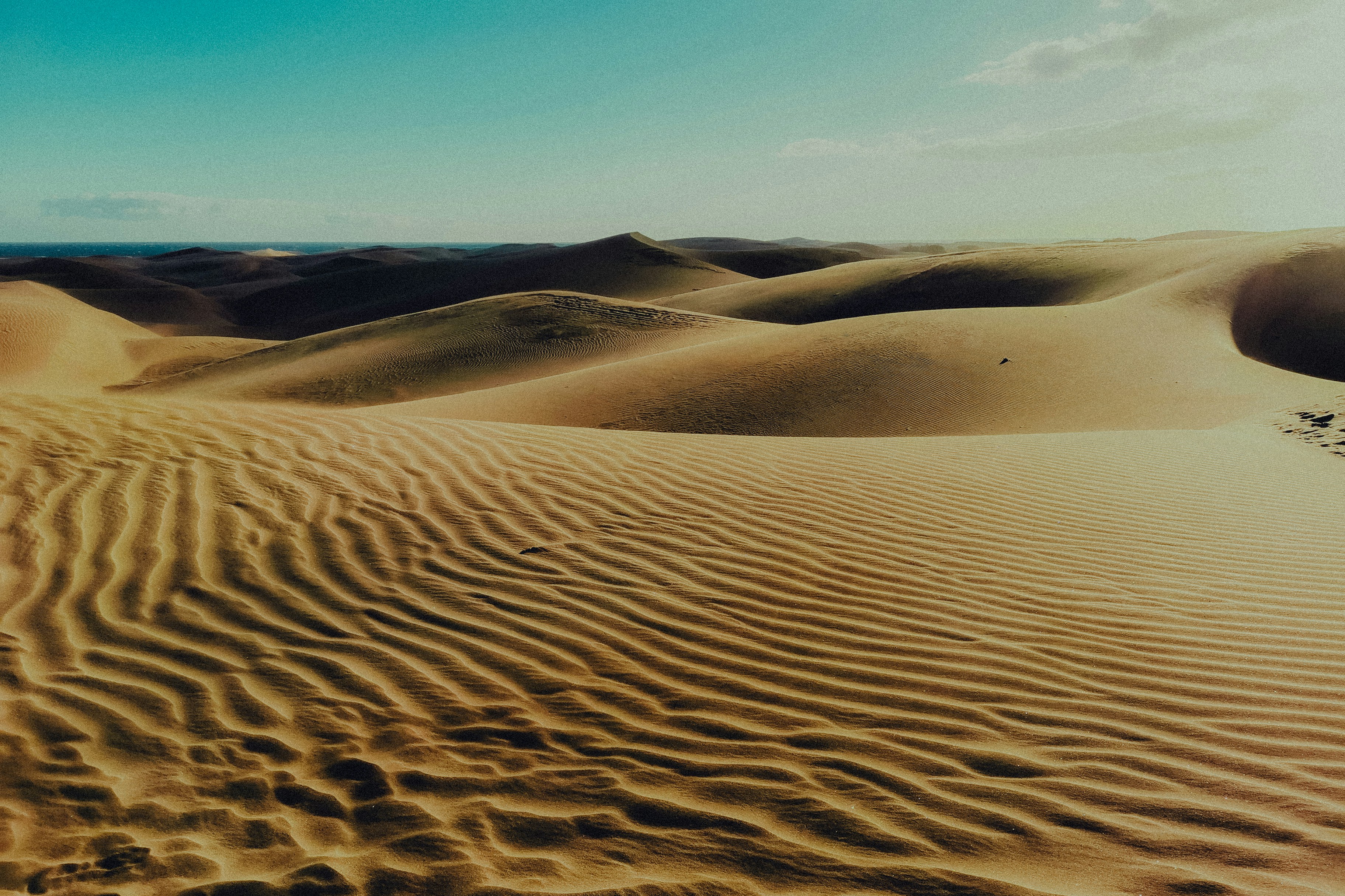 Golden sand dunes stretch across the horizon under a clear sky, showcasing intricate patterns formed by the wind. The tranquil scene invites contemplation.