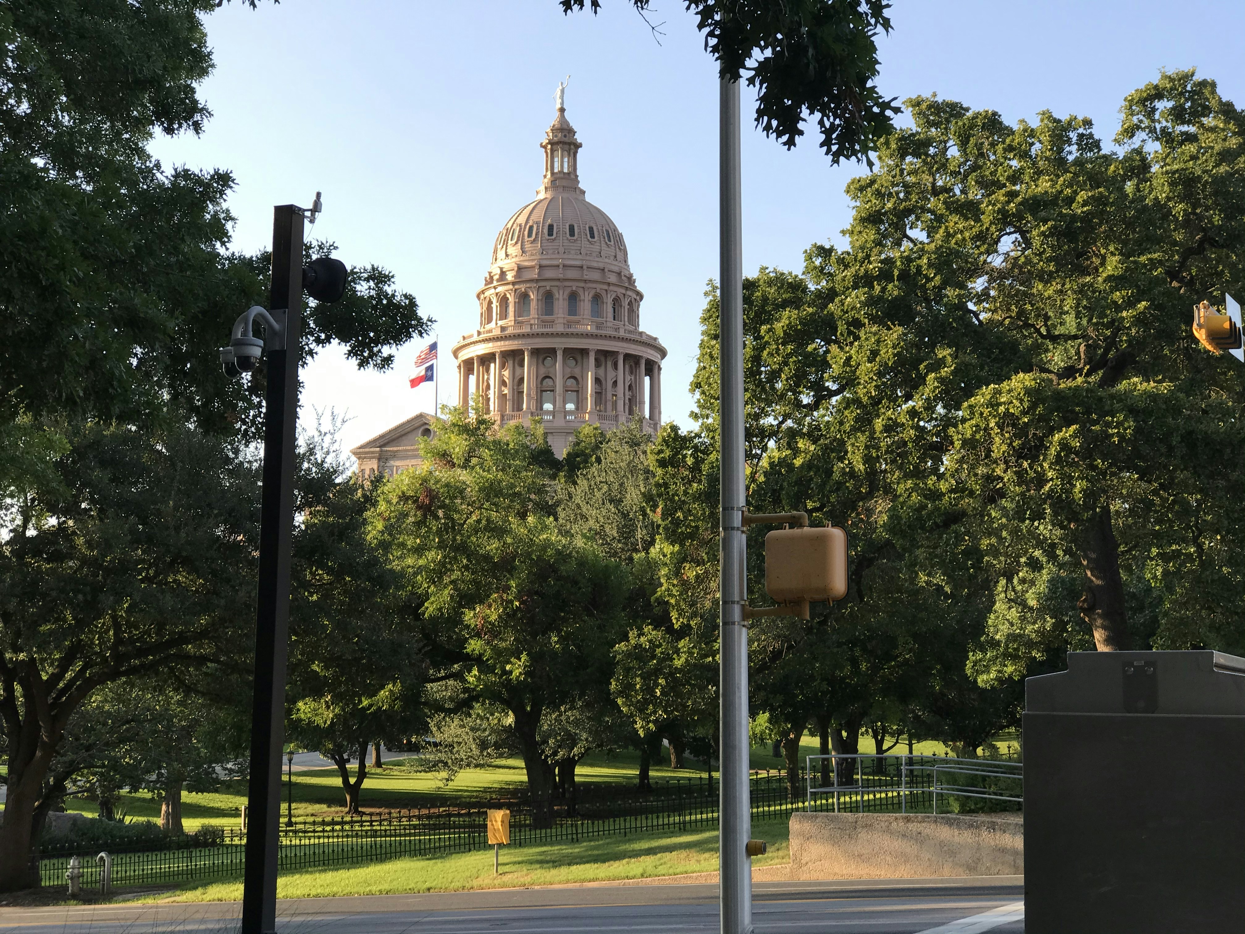 Dome Rising Through the Park Canopy on a Sunlit Afternoon