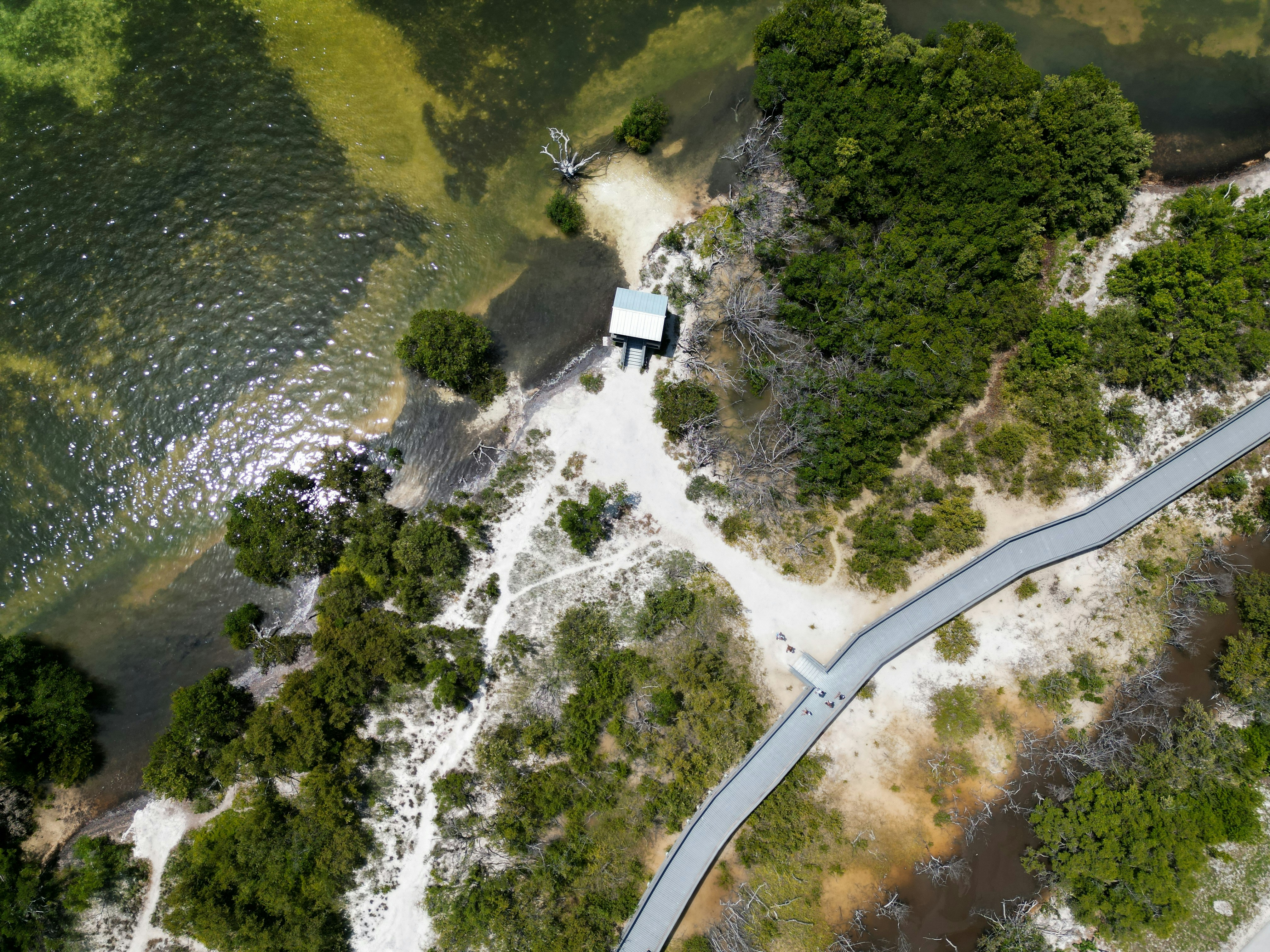 Lakeside Clearing and Winding Road: A Drone Portrait of a Secluded Shoreline