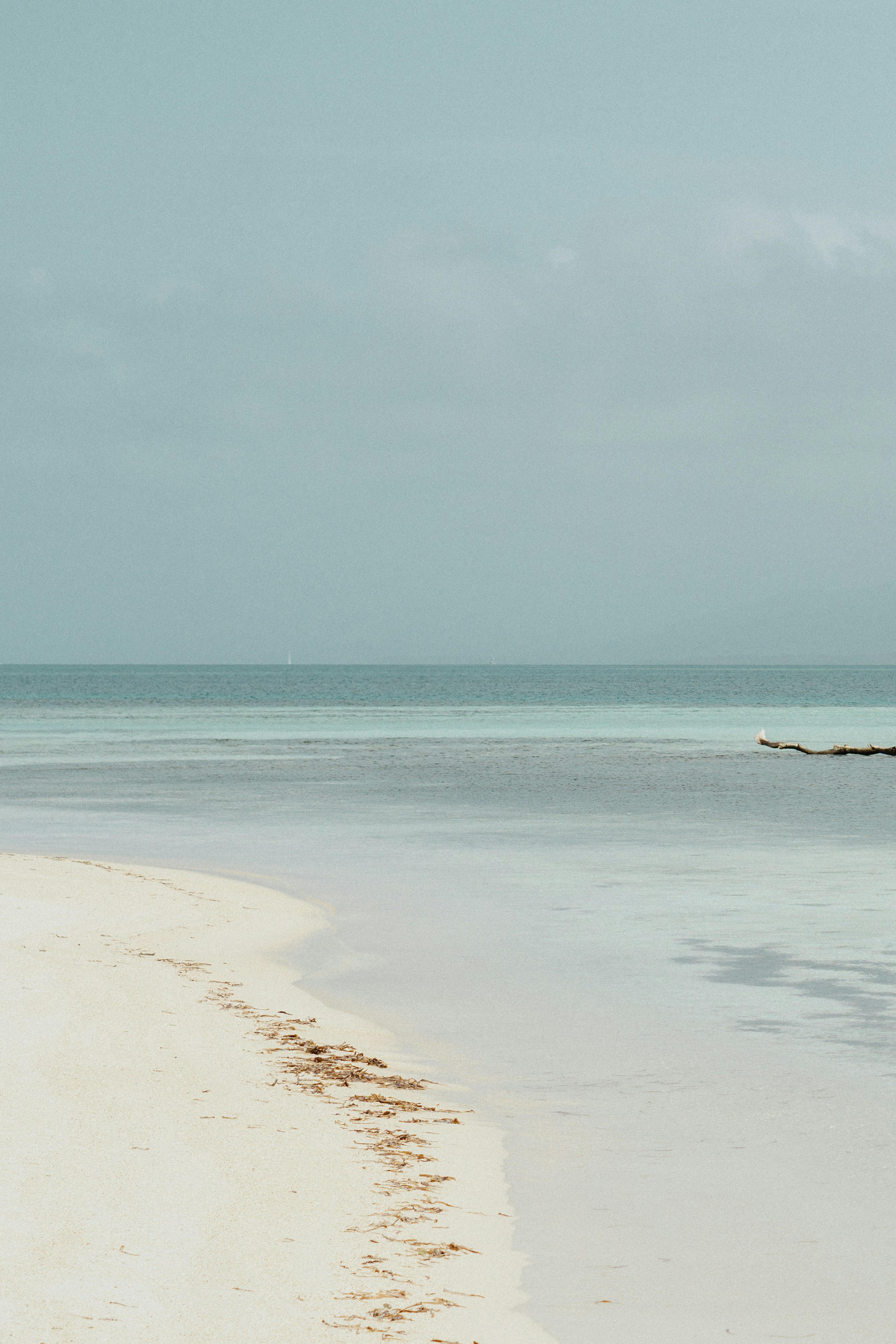 Beach | 100+ best free photos on Unsplash