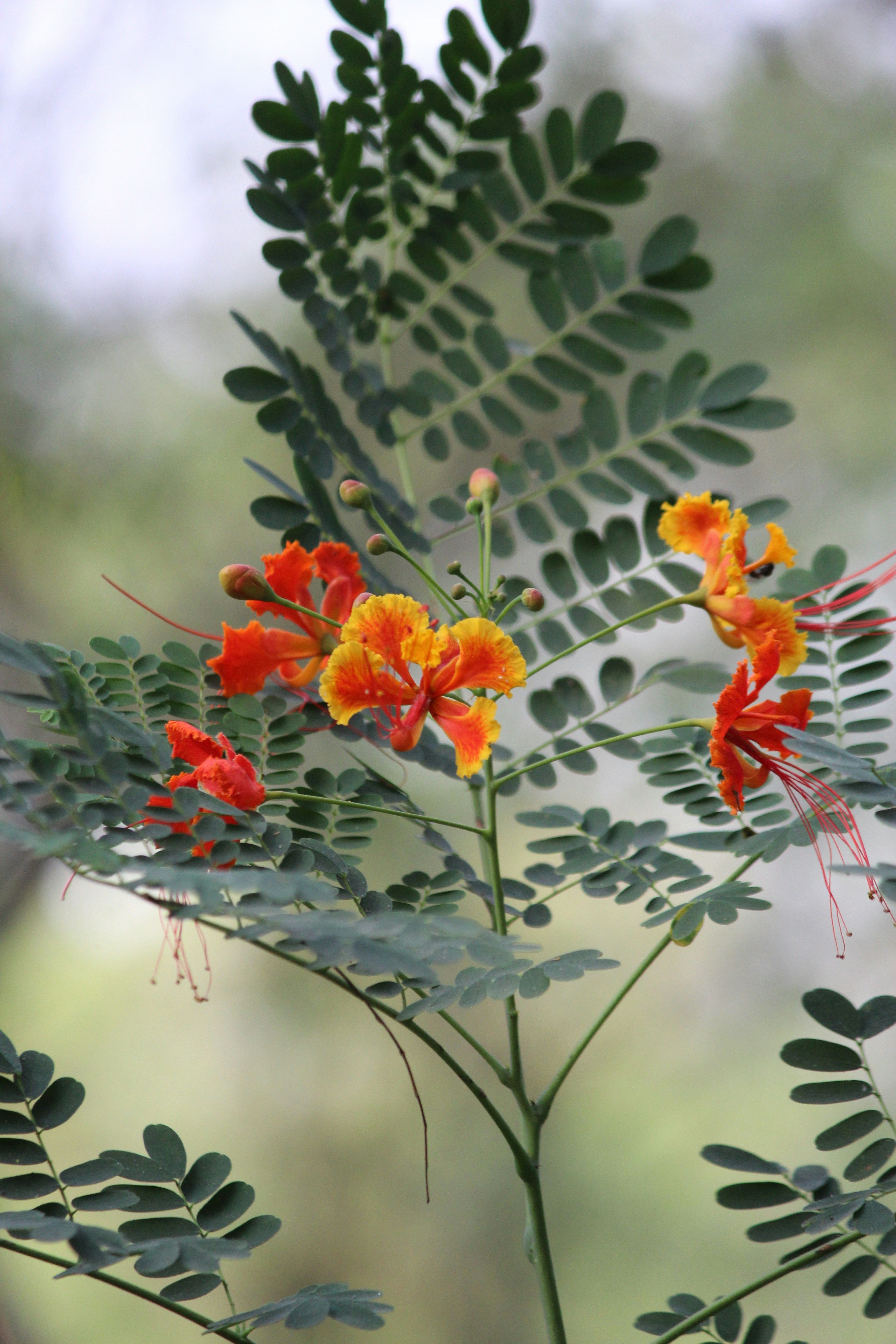 Photo by Purvi Patel with Canon EOS 1300D