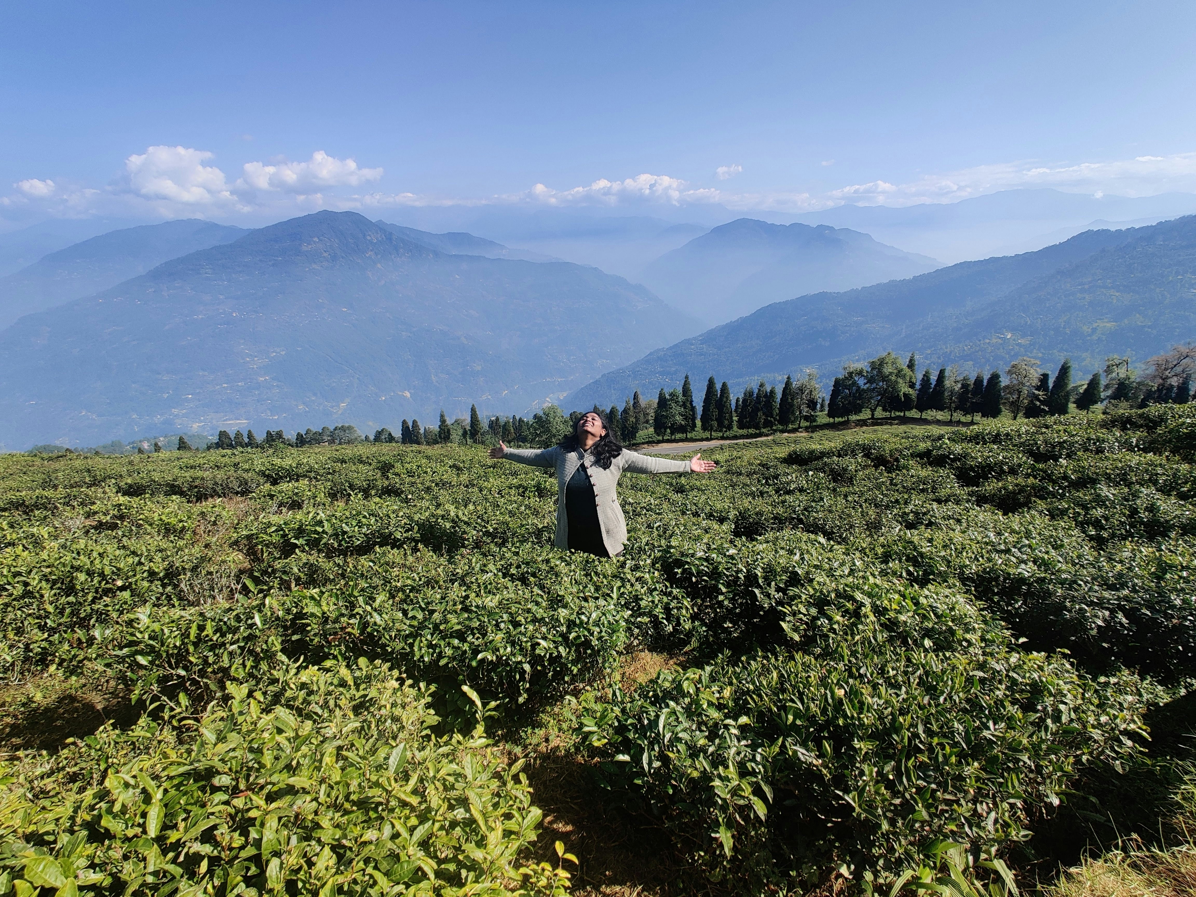 Breath of the Hills: A Figure Among Tea Terraces