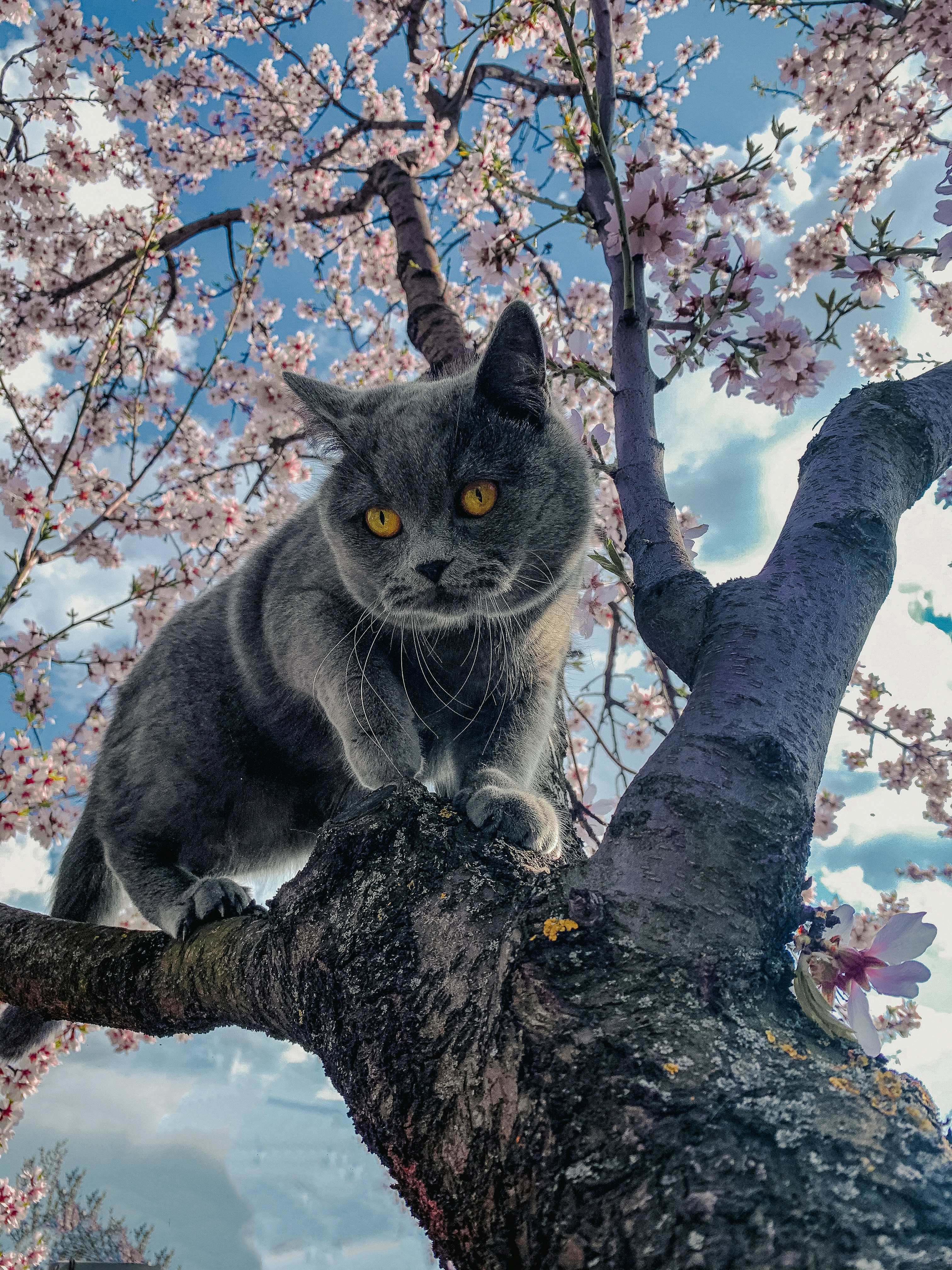 Photo by Doriana Popa with Apple iPhone XS Max