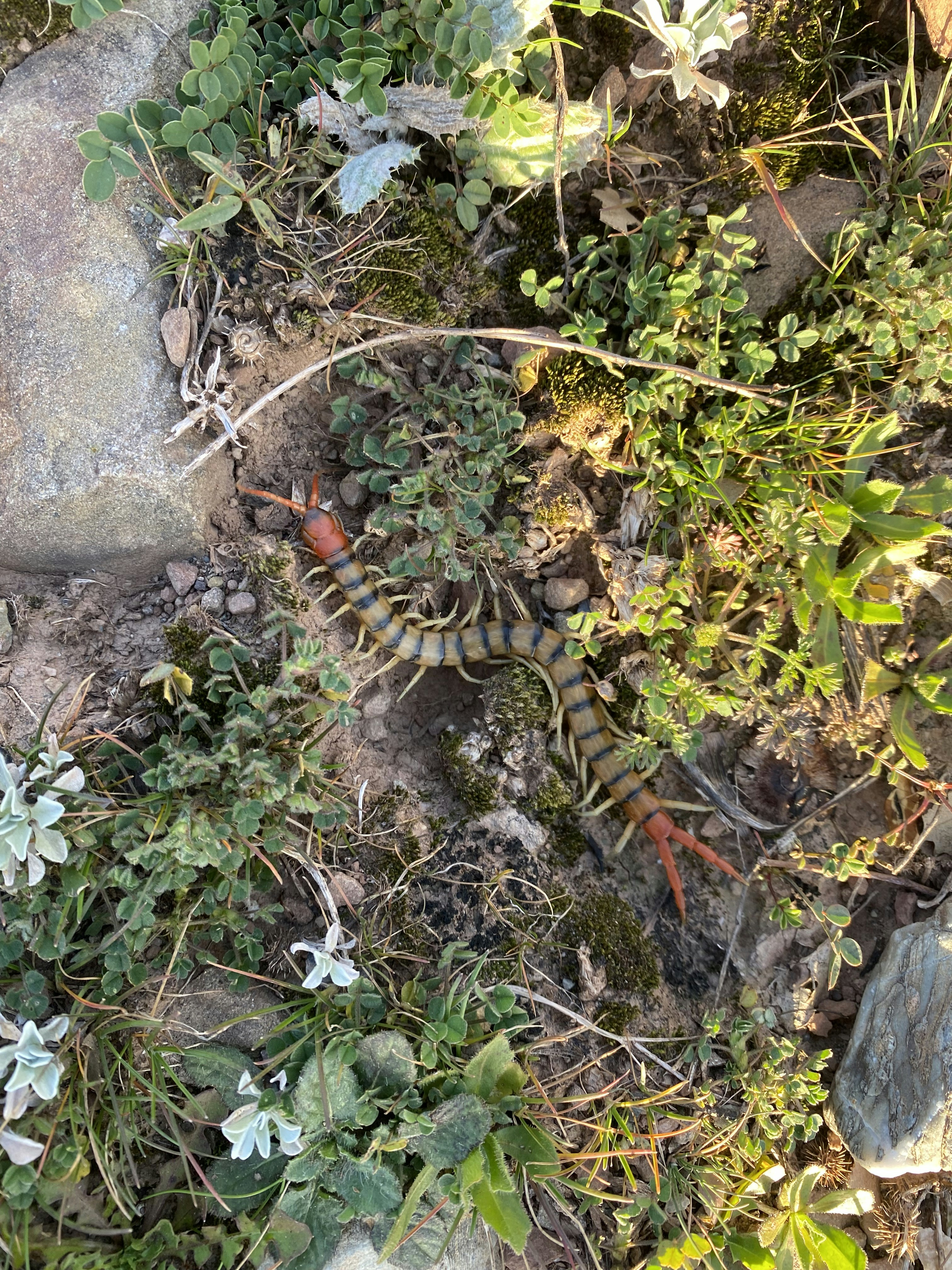 Qandil Photos | Télécharger des images gratuites sur Unsplash