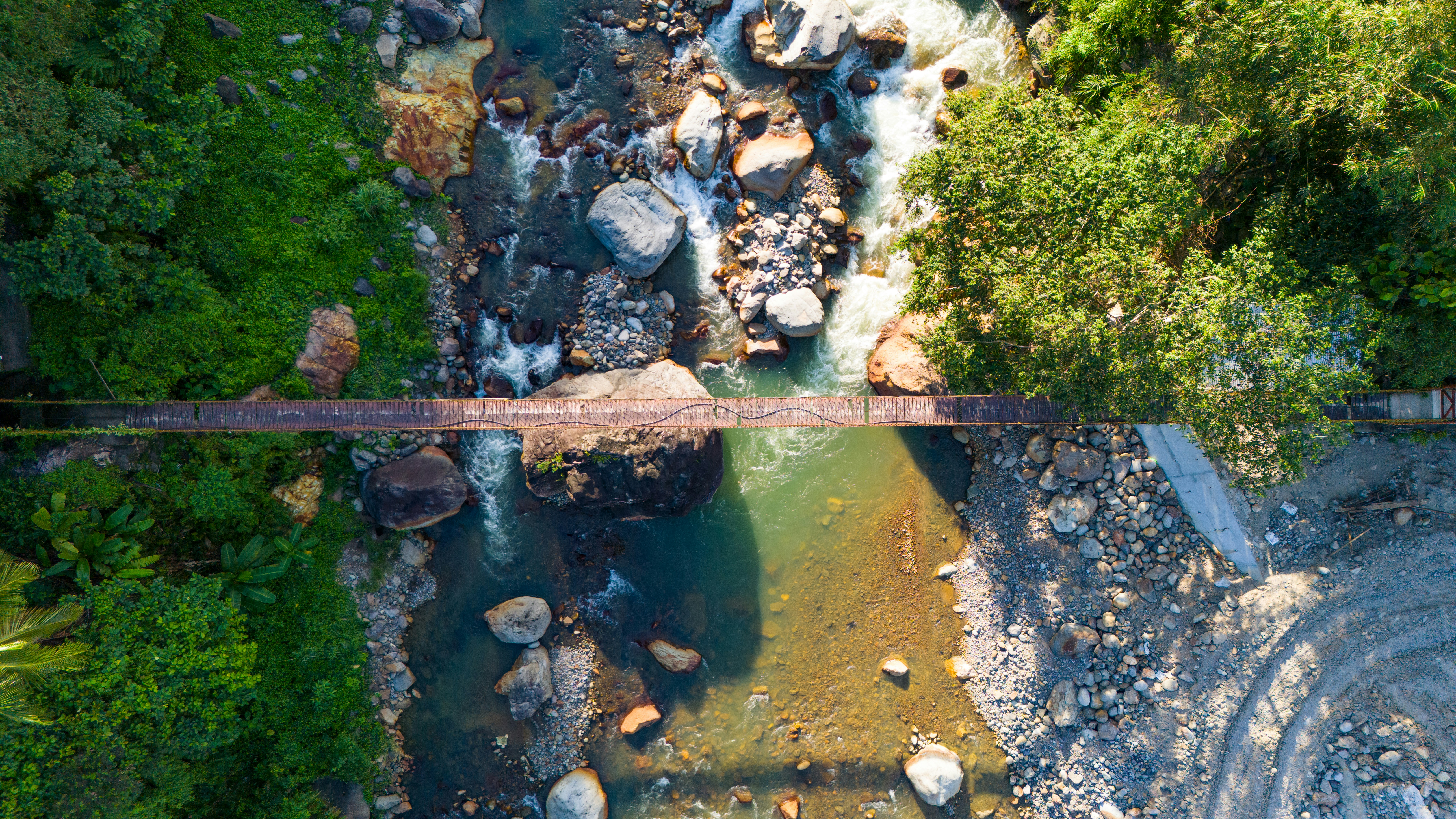 A river running through a lush green forest photo – Free Forest Image ...