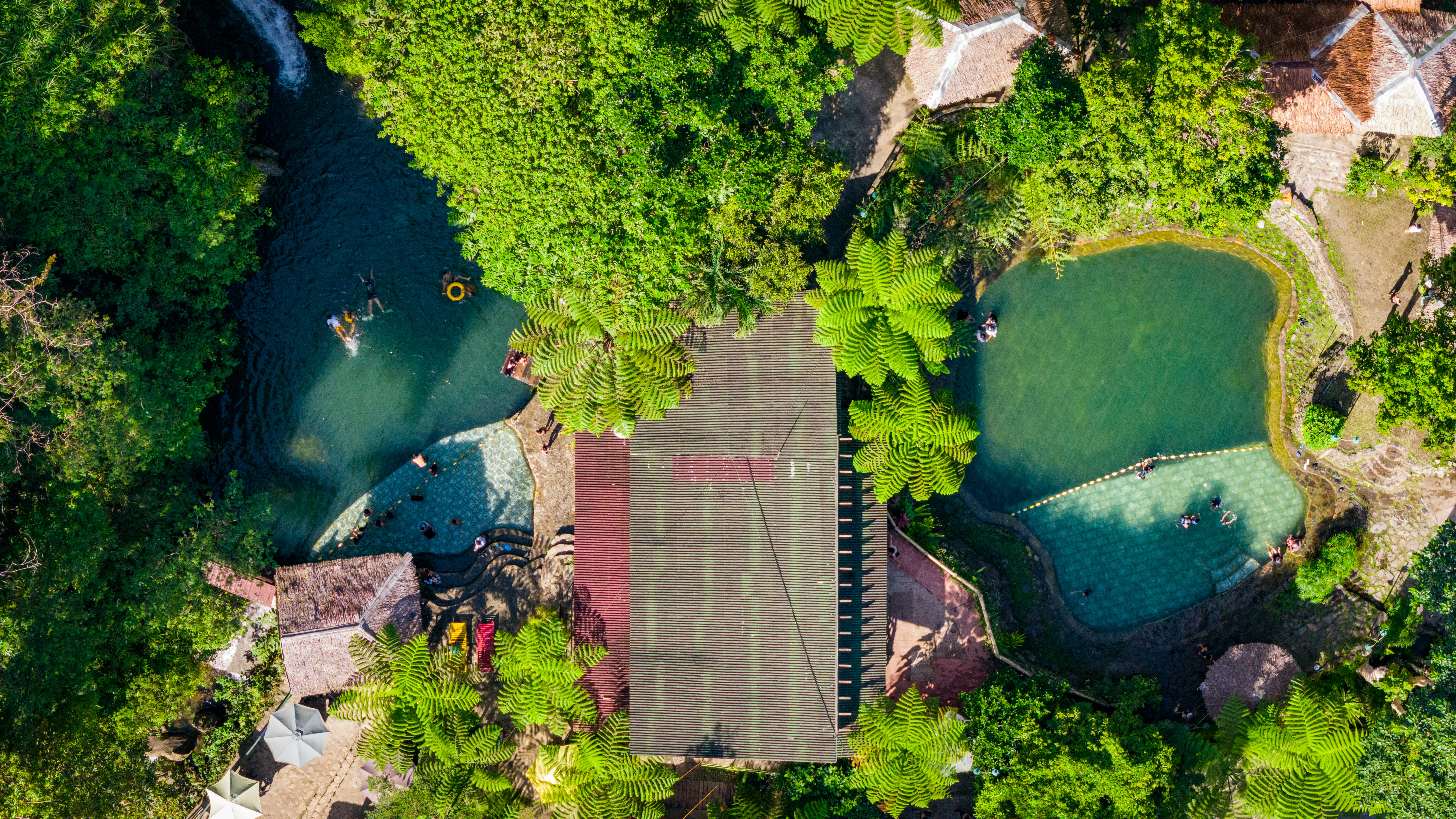 A bird's eye view of a house surrounded by trees photo – Free Cebu ...
