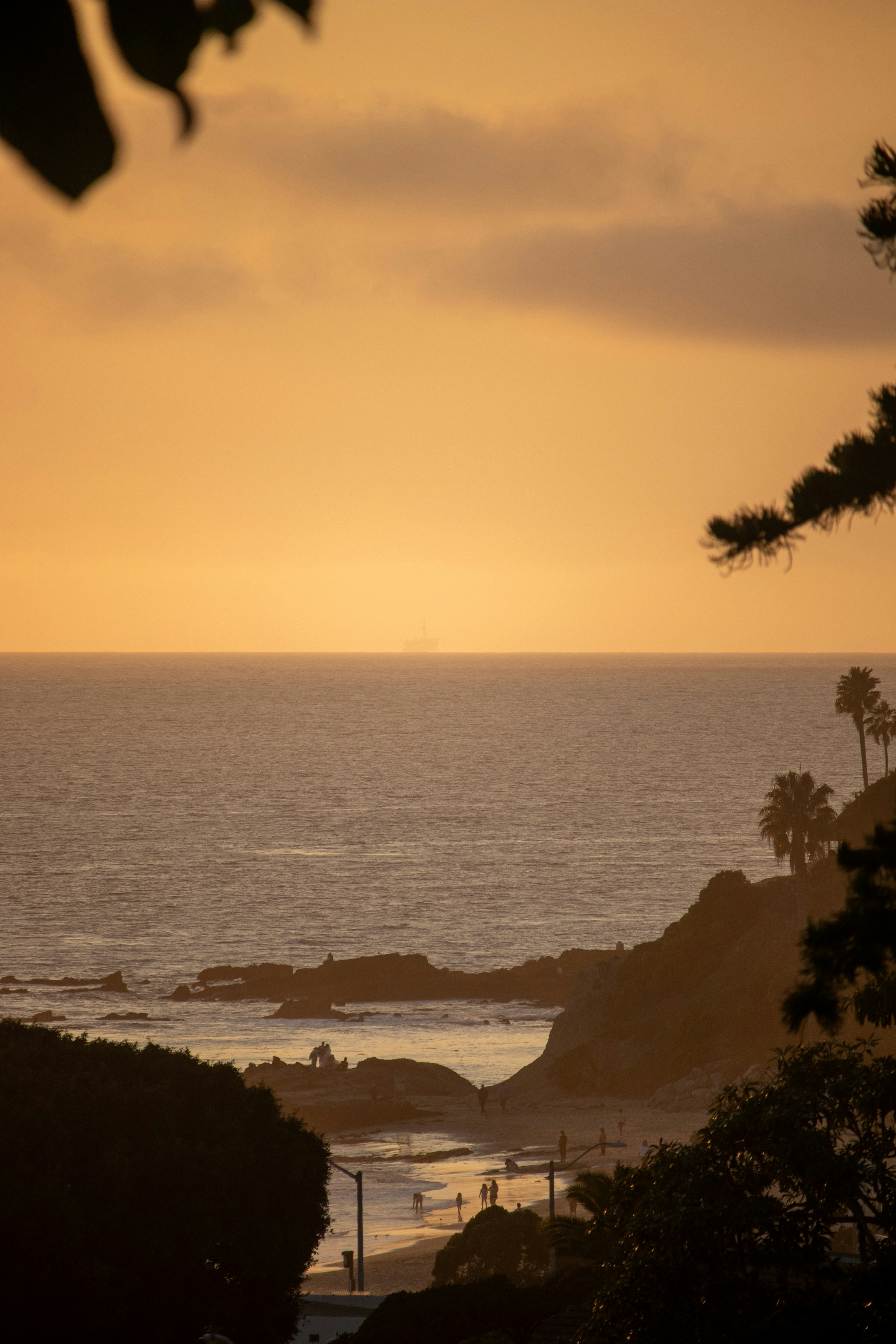 Horizon Fire: Palm-Framed Sunset Over Rocky Beach