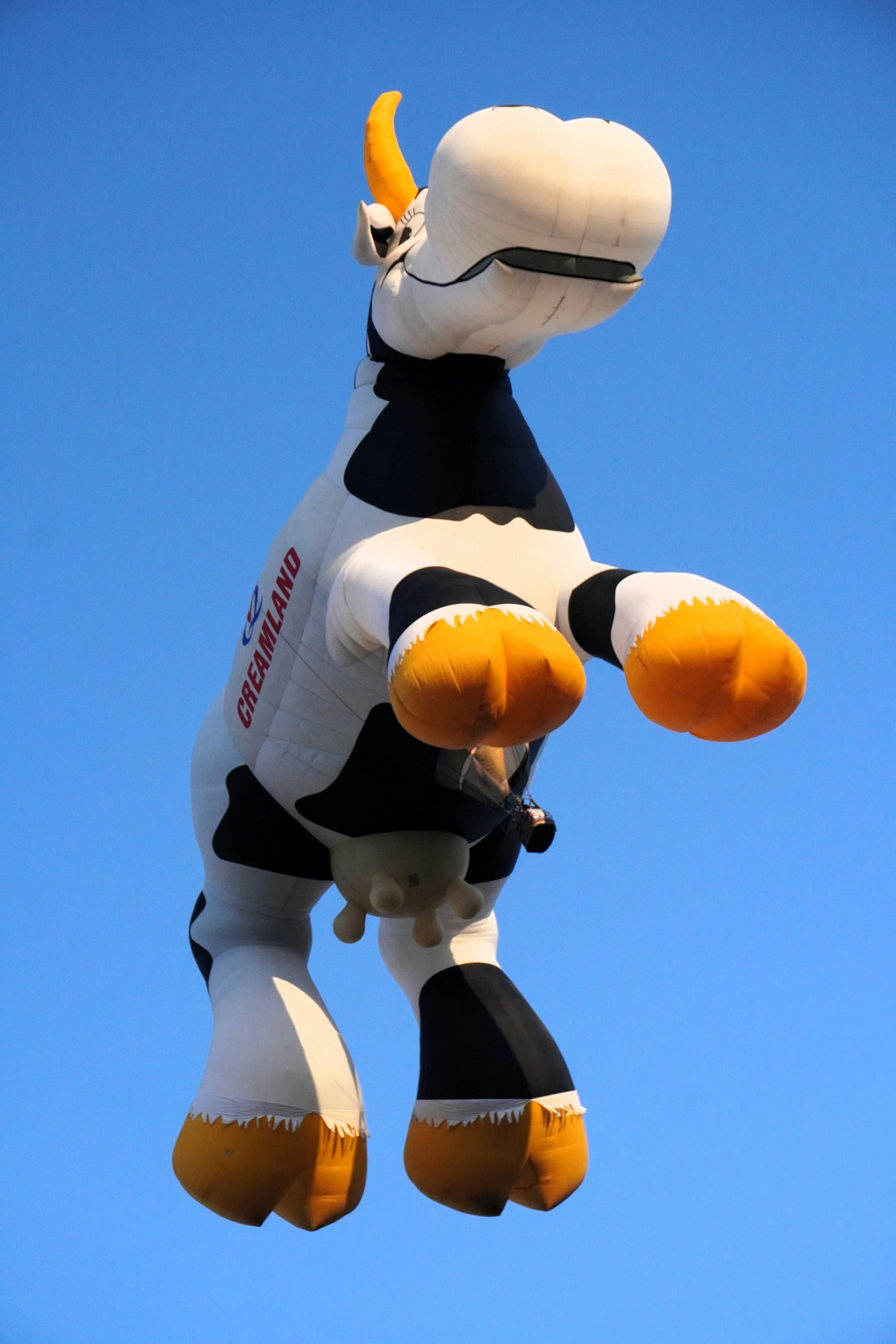 Photo by Thomas Fore with SONY ZV-E10