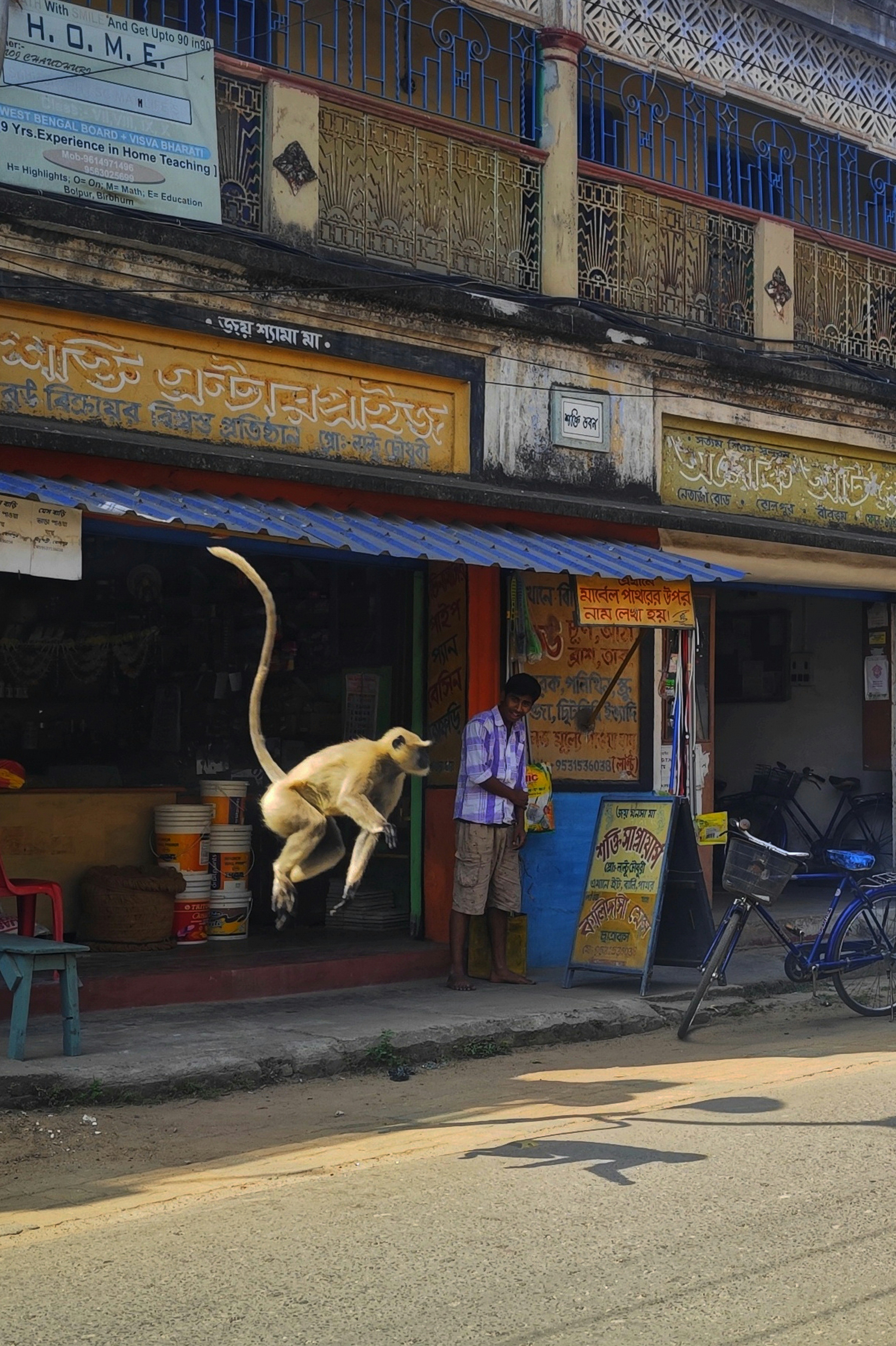 Leaping Monkey Before a Bustling Market Shopfront