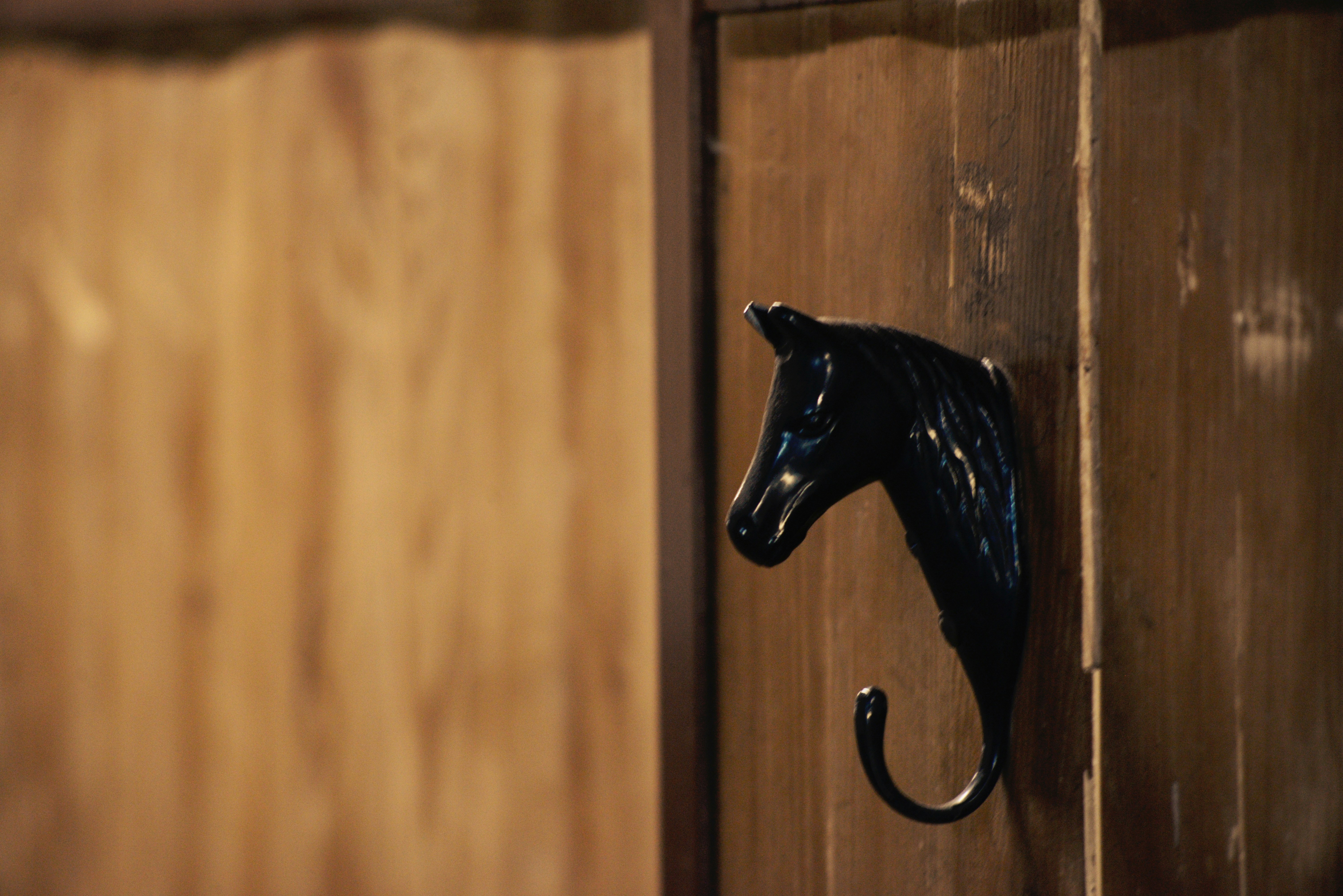 Equine Iron Hook on Weathered Wood