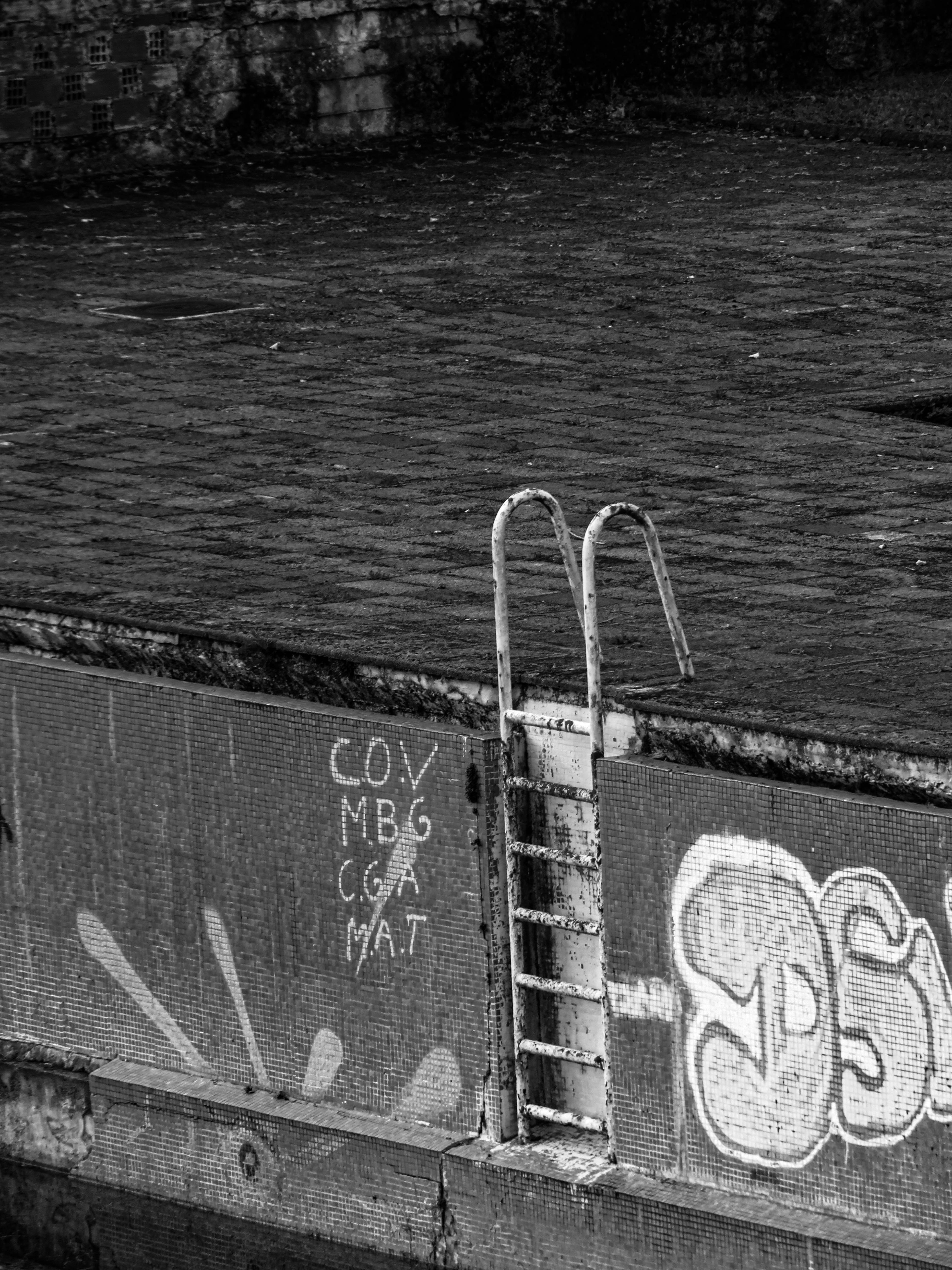 Weathered Ladder by Graffitied Pool Edge in Monochrome