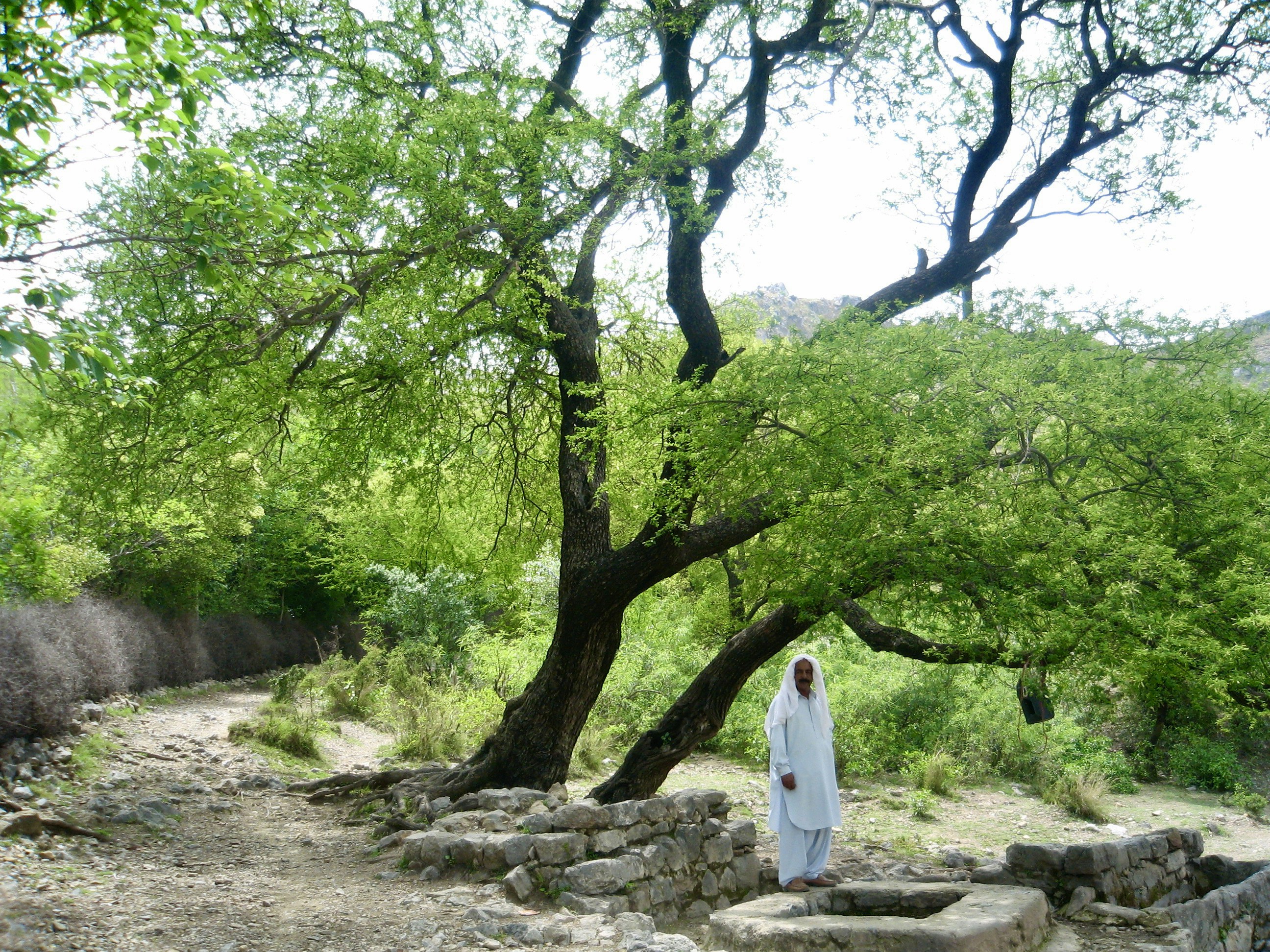 a woman standing in front of a tree