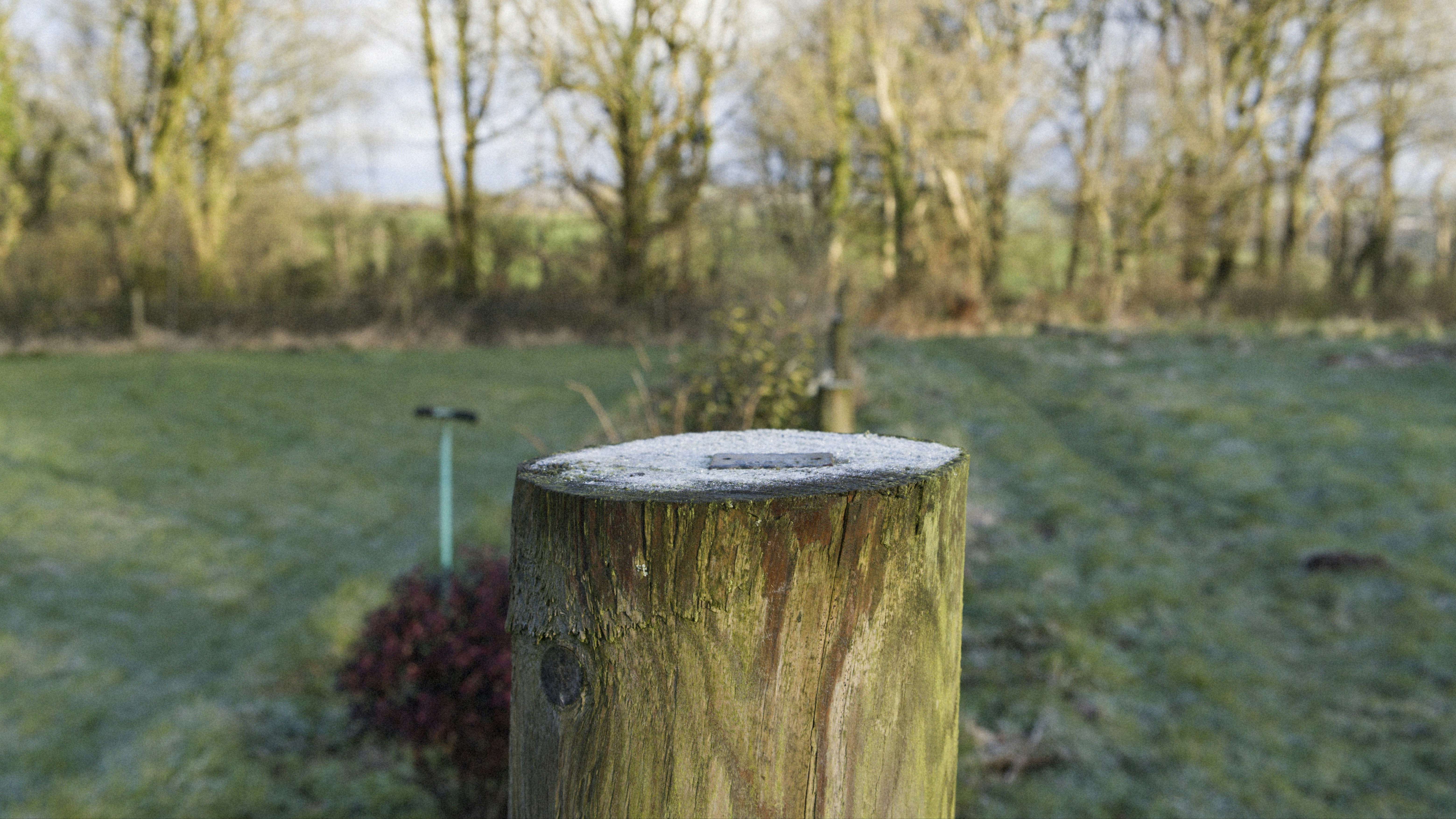 Stake Pictures | Download Free Images on Unsplash