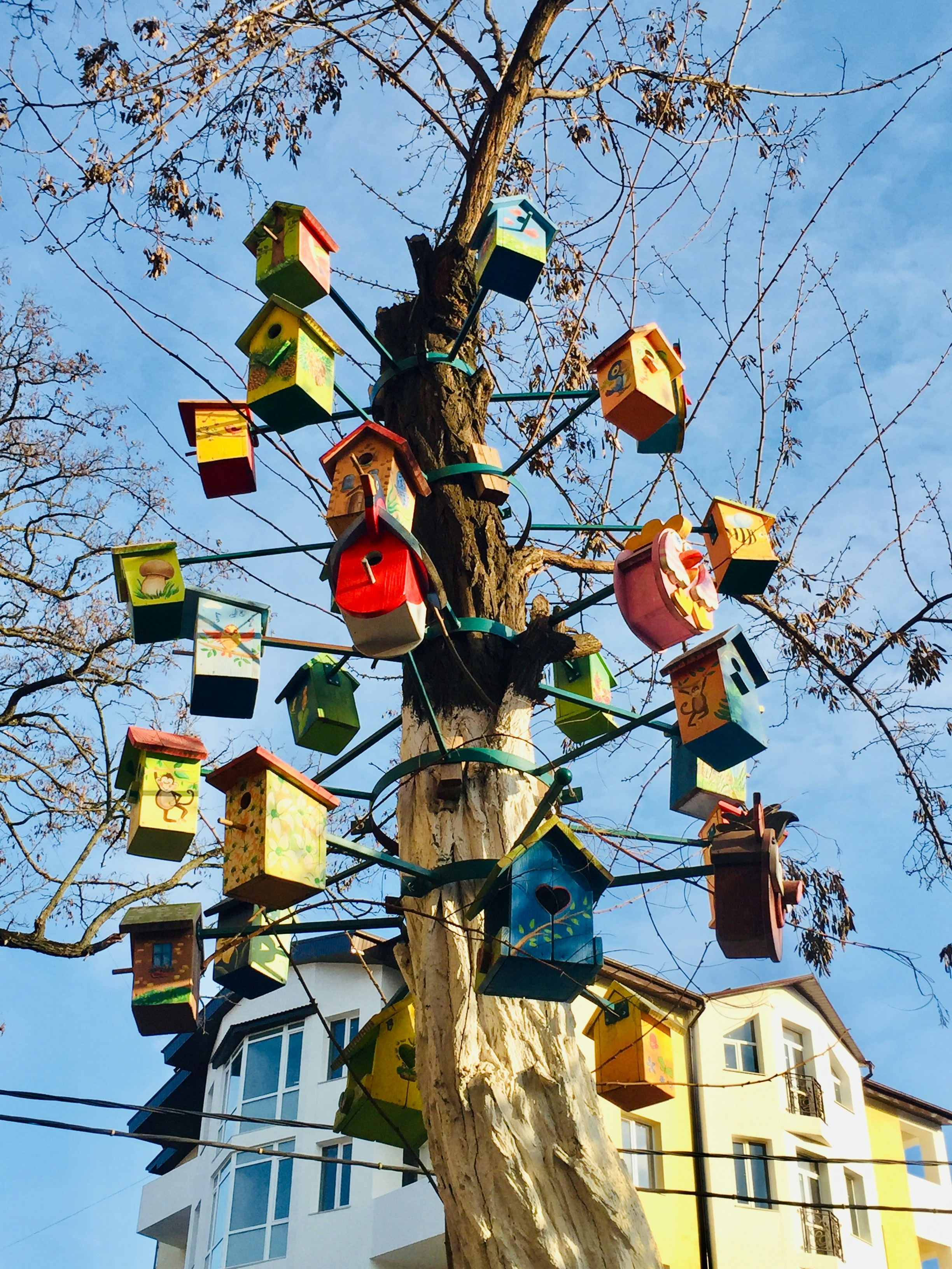 Nest Village Ascends: A Tree Bearing a Bright Parade of Birdhouses Against a Clear Sky
