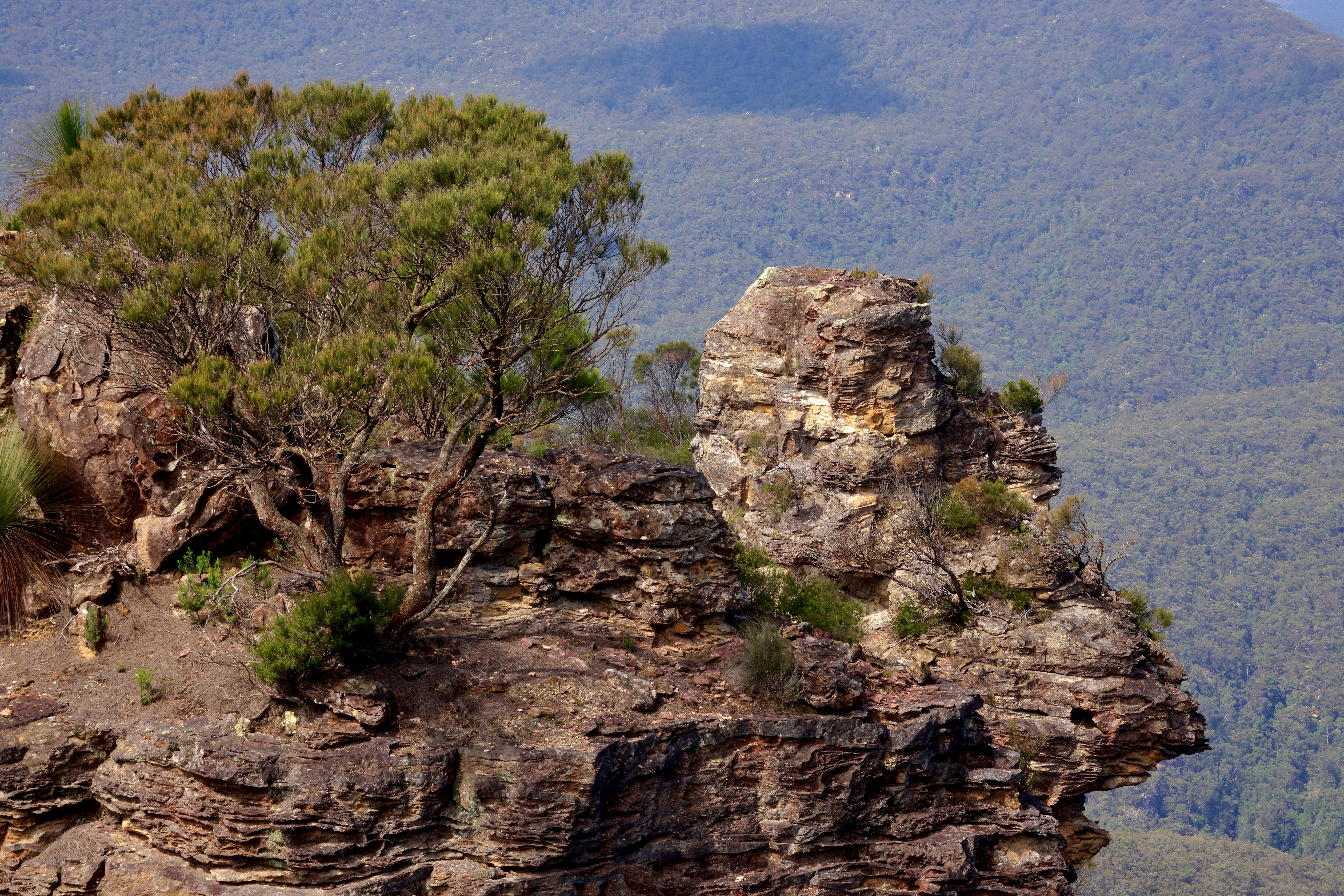 A rocky outcropping with trees on top of it photo – Free Outdoors Image ...