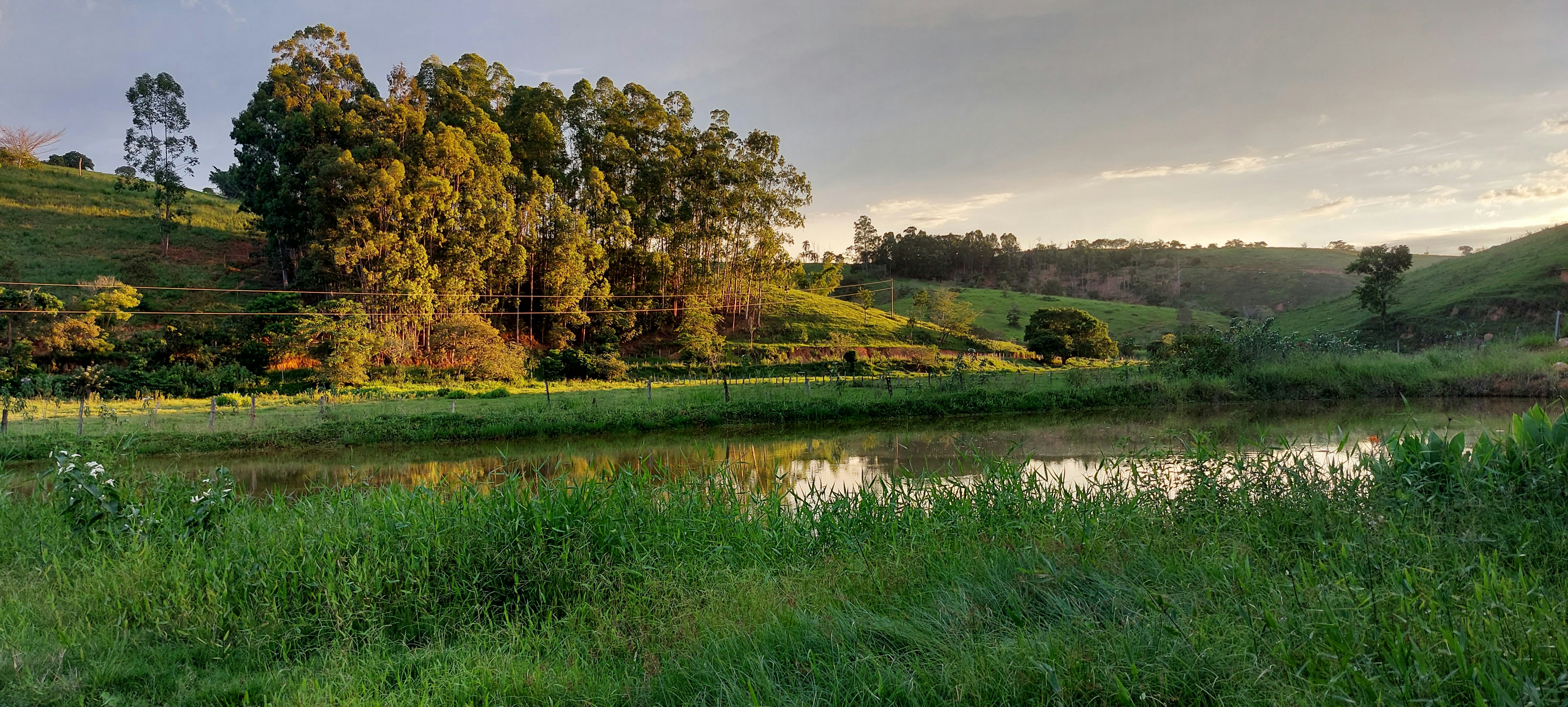 A river running through a lush green countryside photo – Free Natureza ...