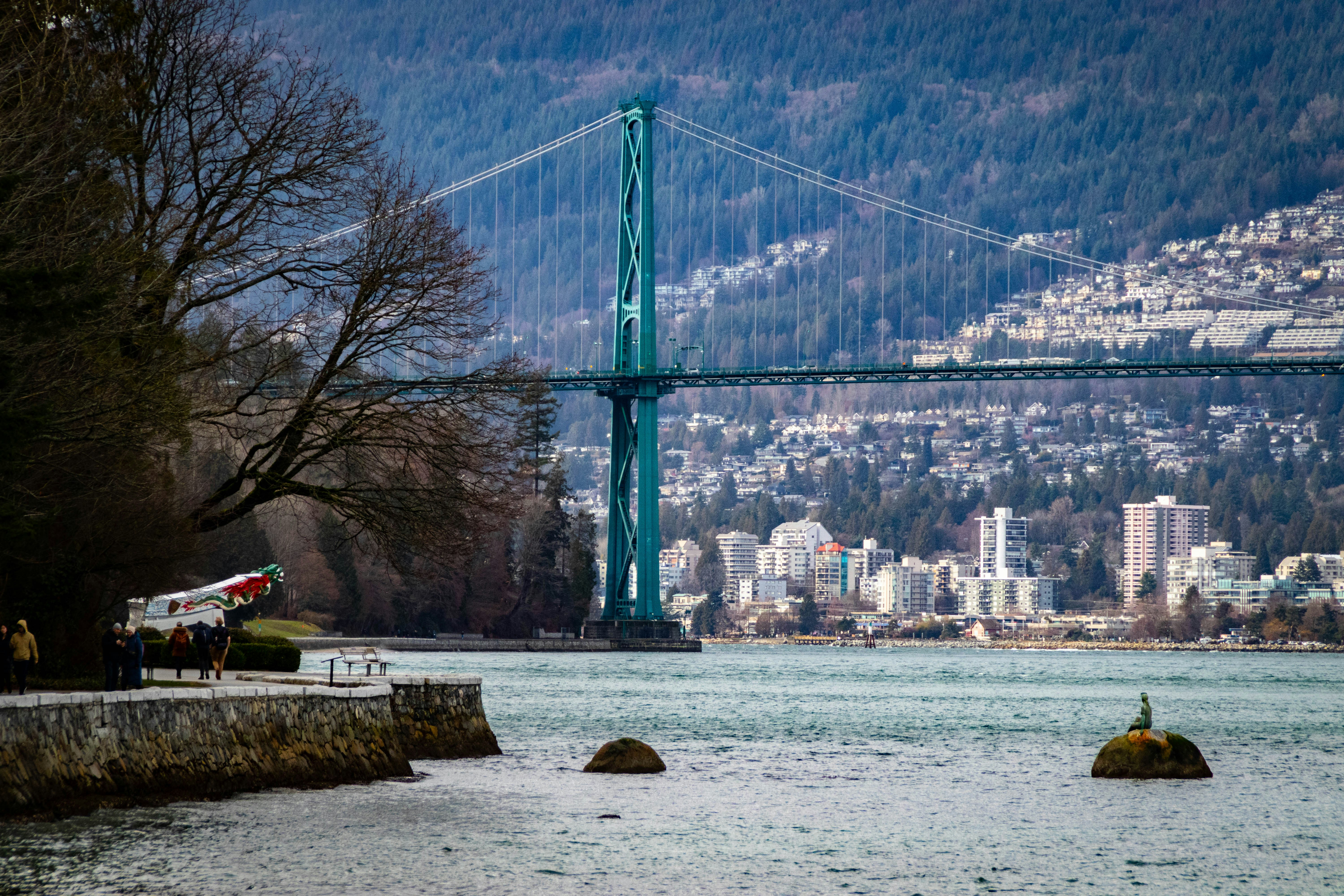 Emerald Span Over the Inlet: A Quiet Cityscape Framed by Trees