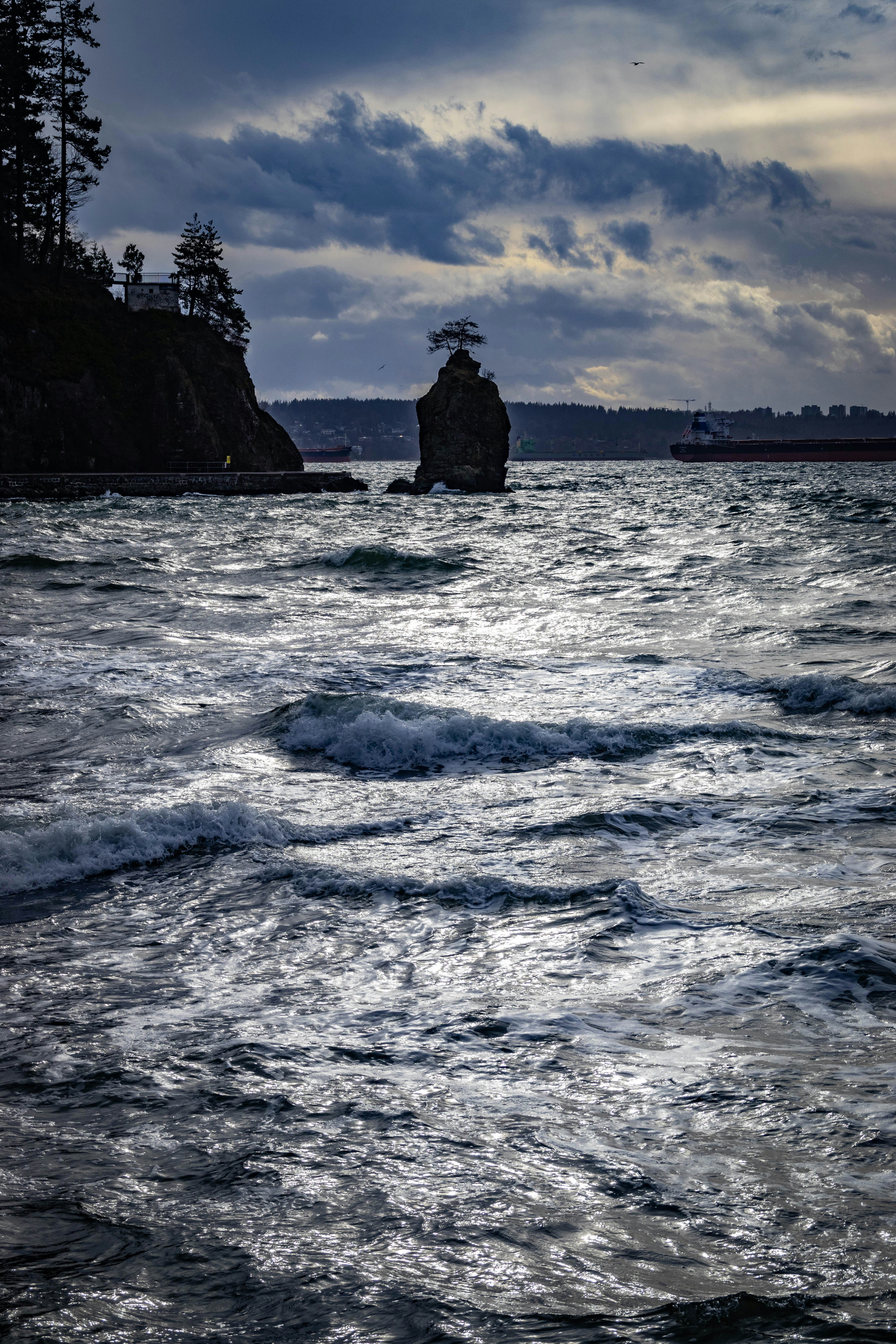 Lone Sea Stack with Windswept Tree Against a Moody Coastal Sky