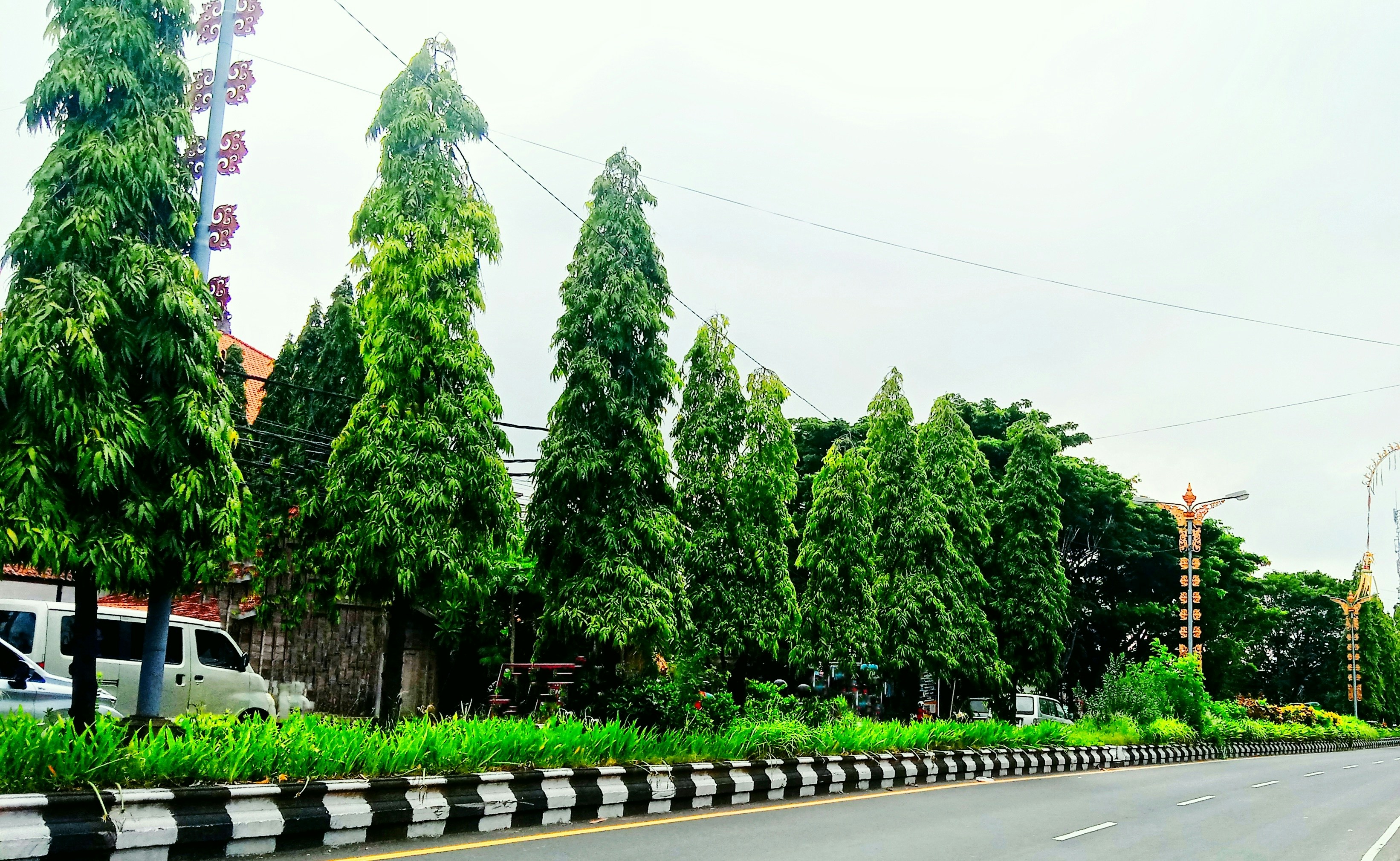 Lush trees line a deserted urban street with a checkered sidewalk, under an overcast sky.