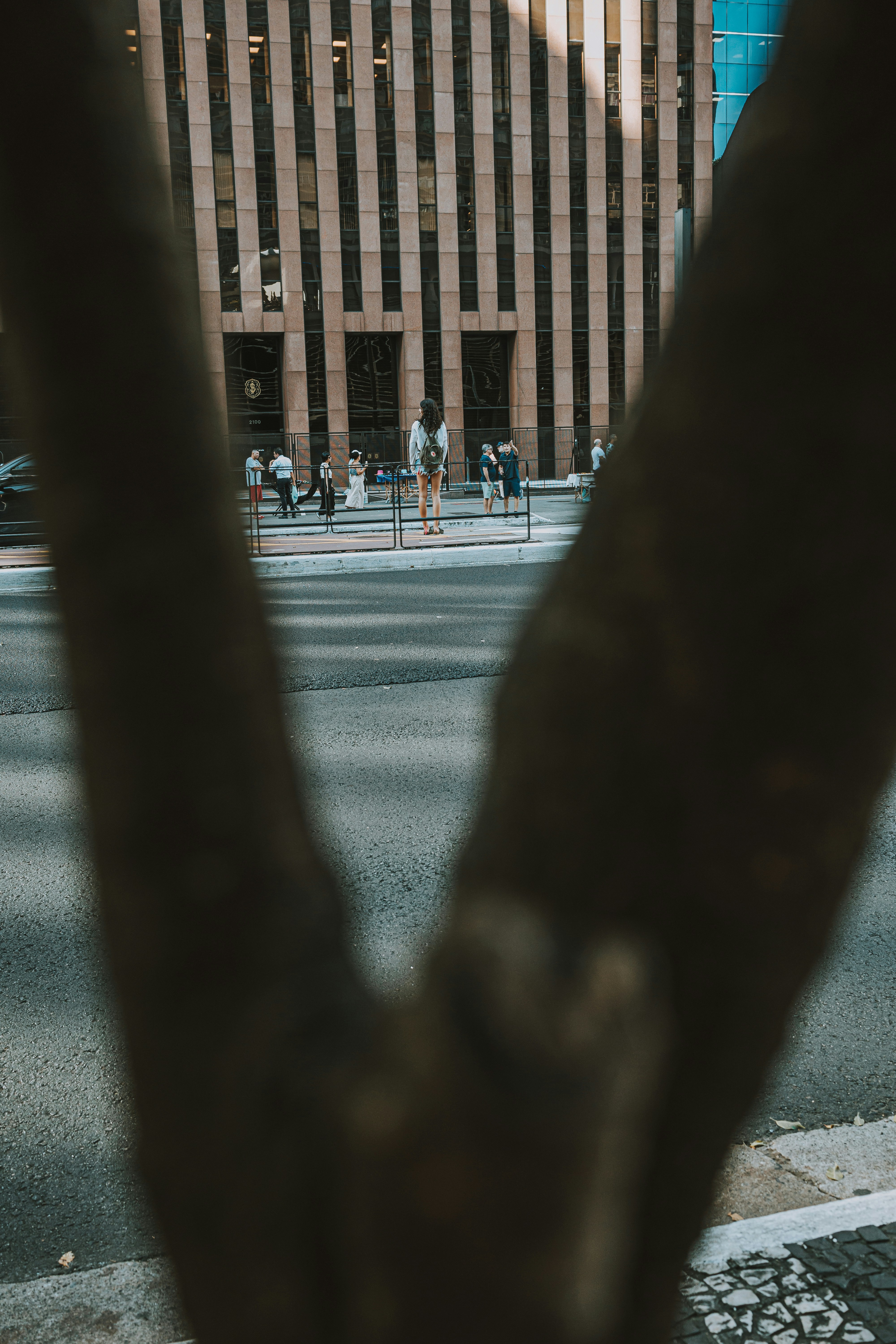 Through the Trunk Gate: Pedestrians Before a Towering Facade