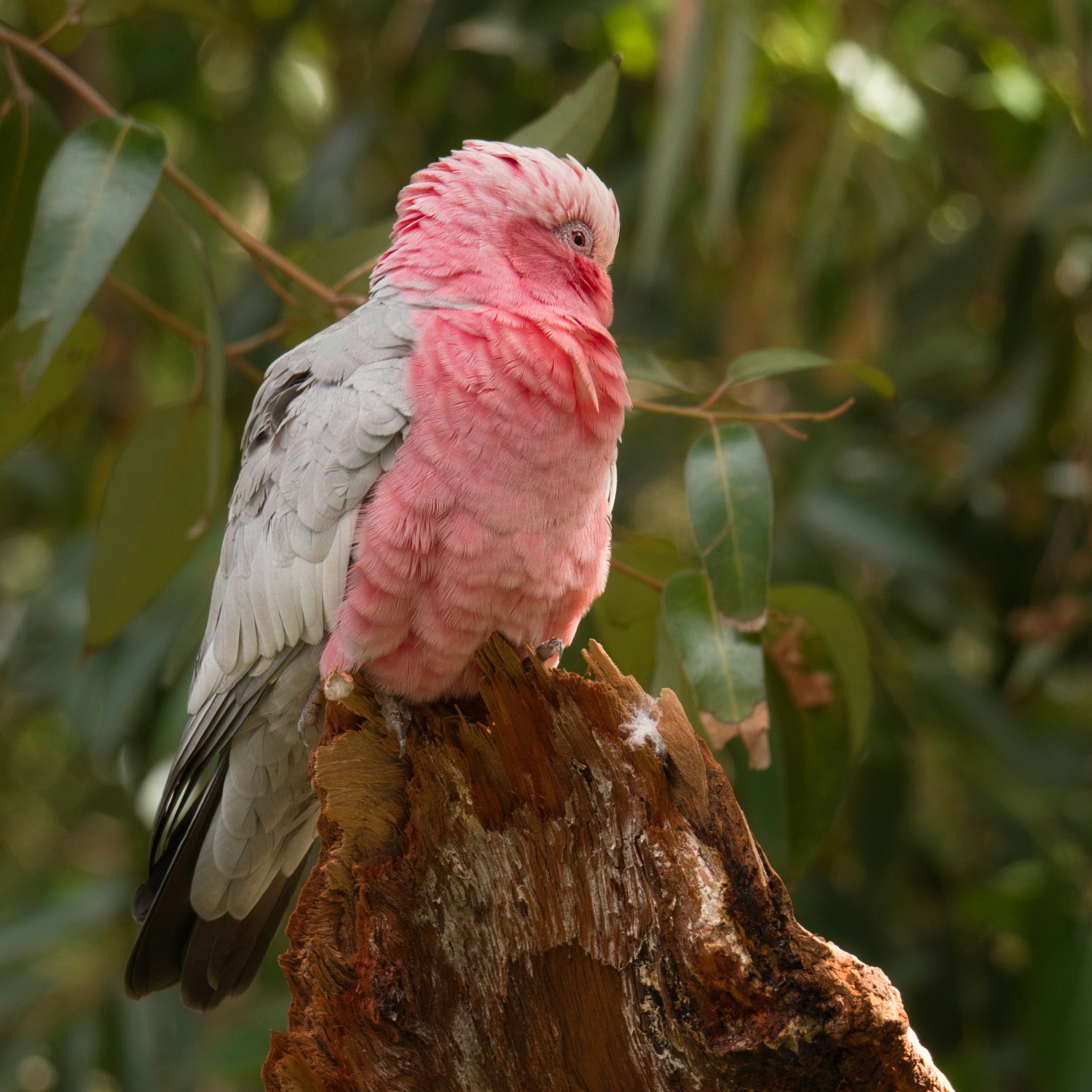 Photo by lee raper with Panasonic Lumix G9