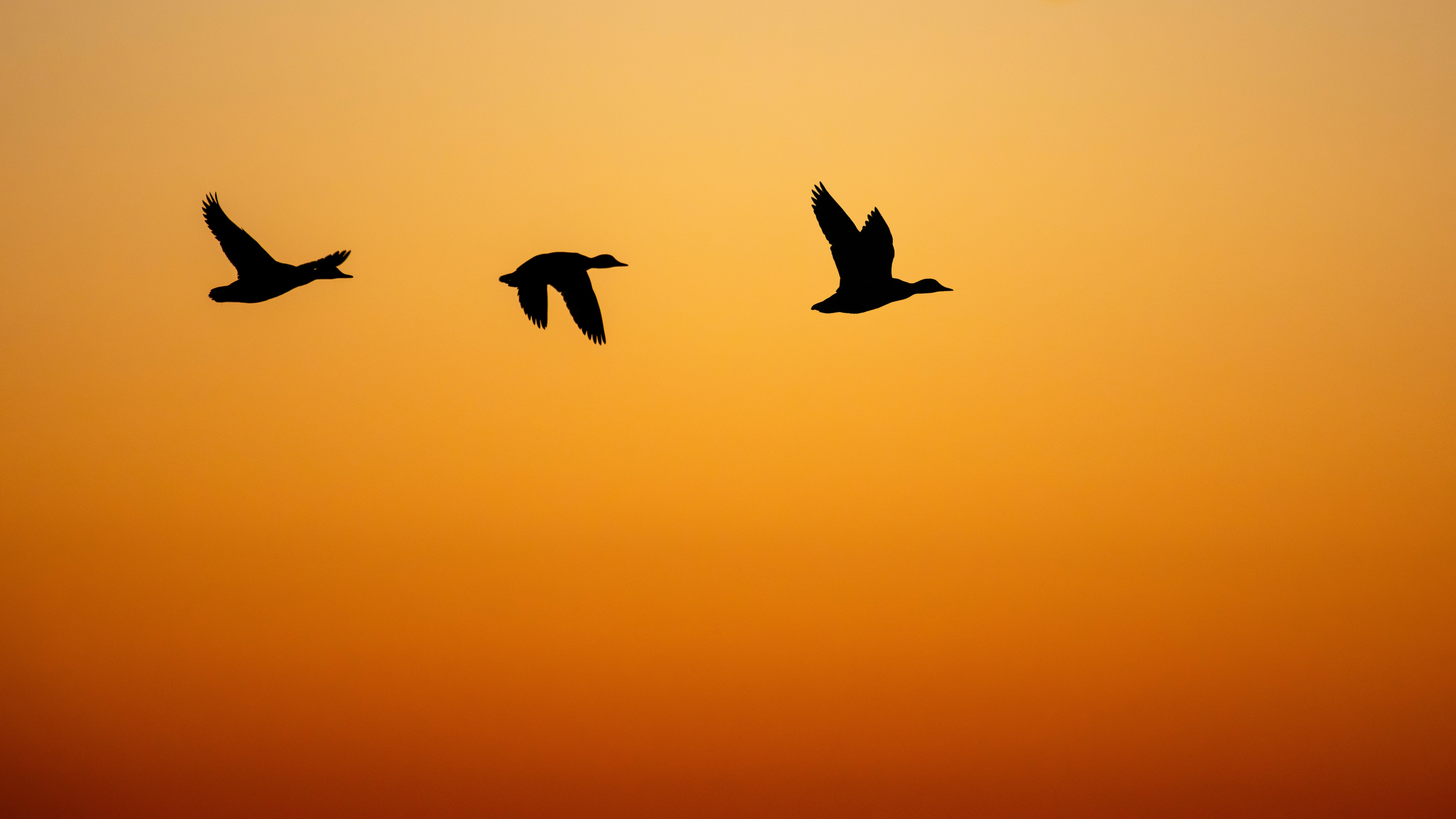 Jeremy Hynes (@hynesight) | Unsplash 사진 커뮤니티