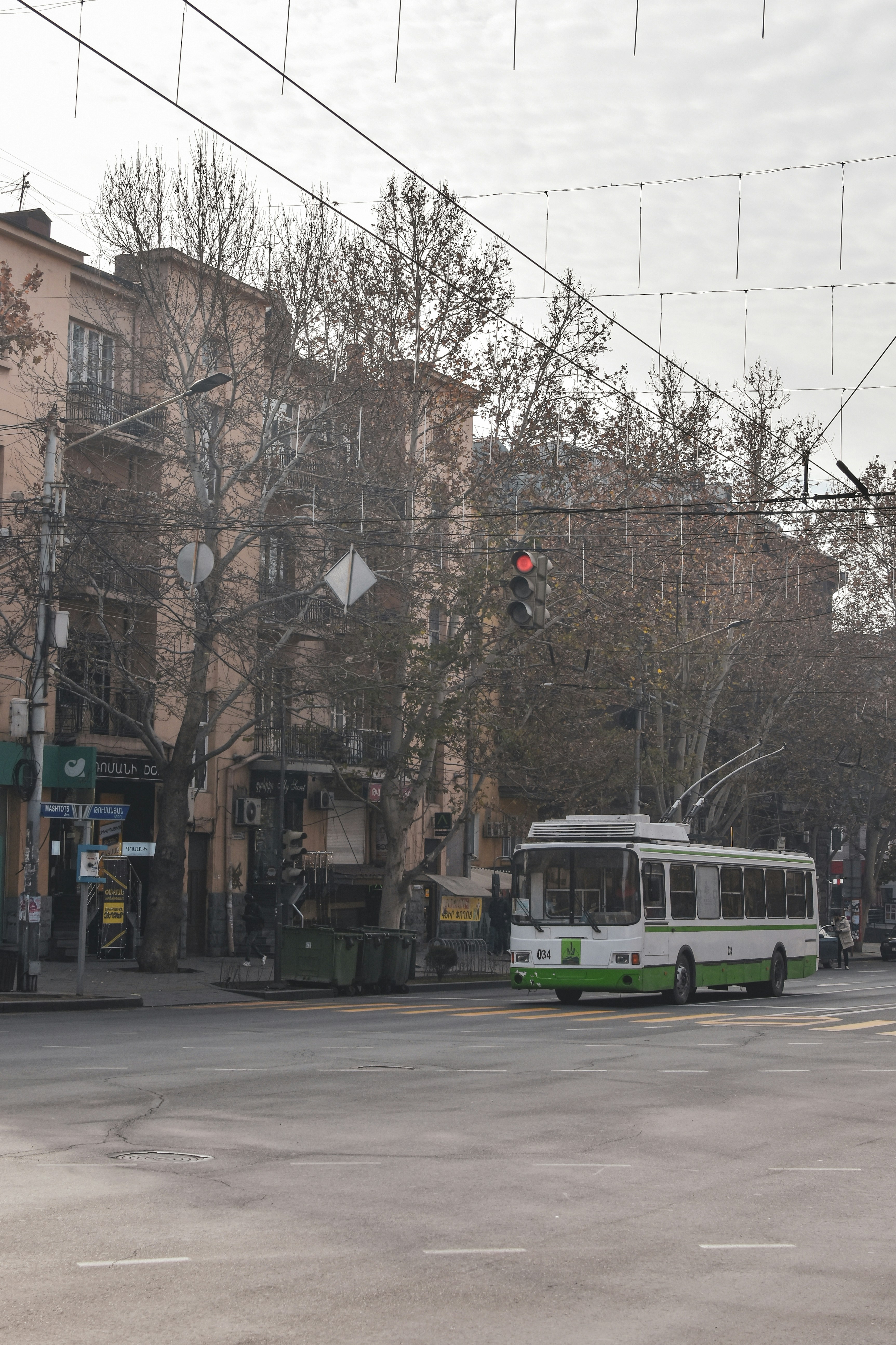 Green-and-white trolleybus gliding through a quiet urban street beneath bare trees