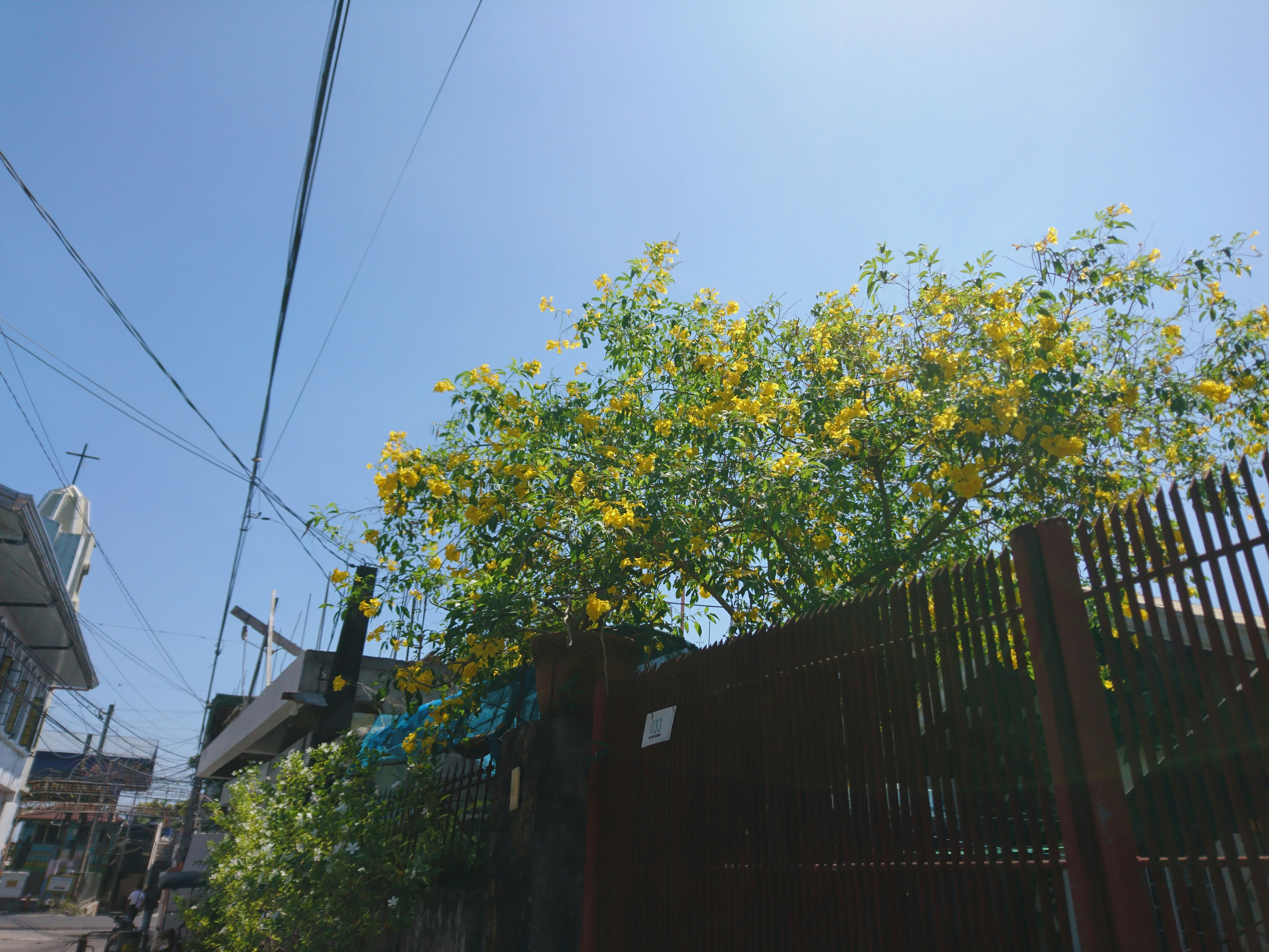 Photo by Lhar Capili with Sony Xperia X