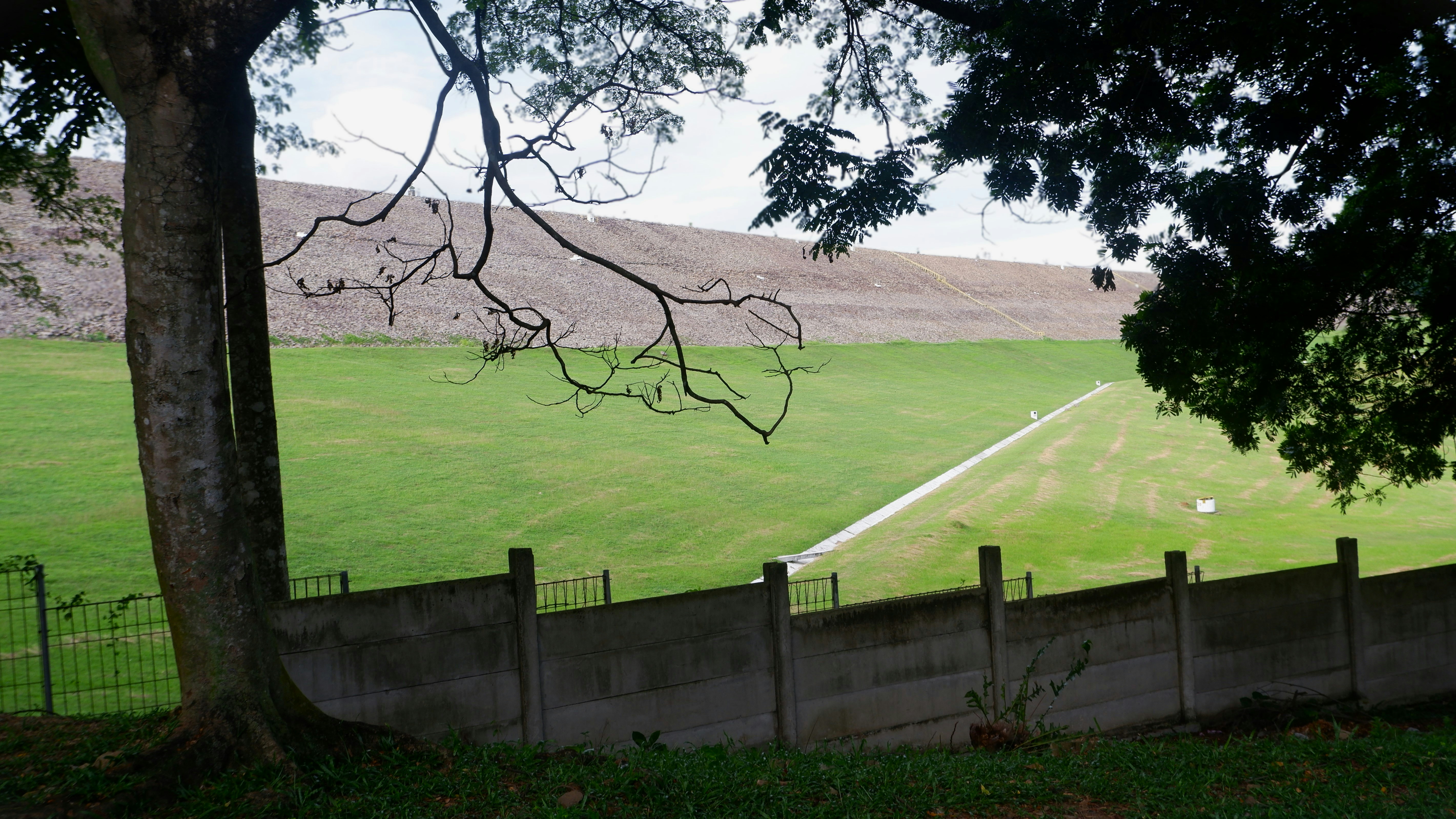 Quiet Boundary: A Green Field Framed by Wall and Shade