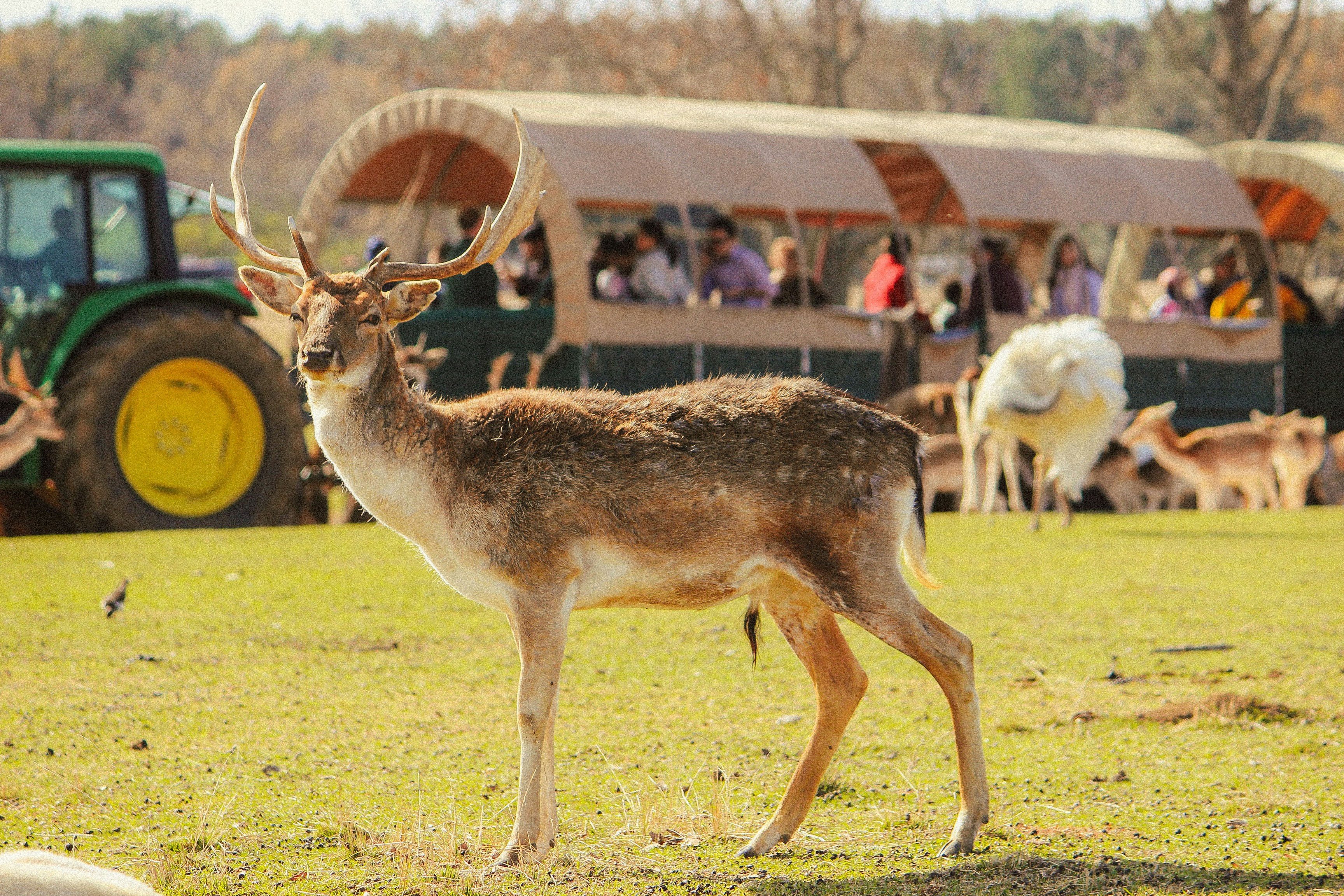 Photo by Joylynn Goh with Canon EOS 600D