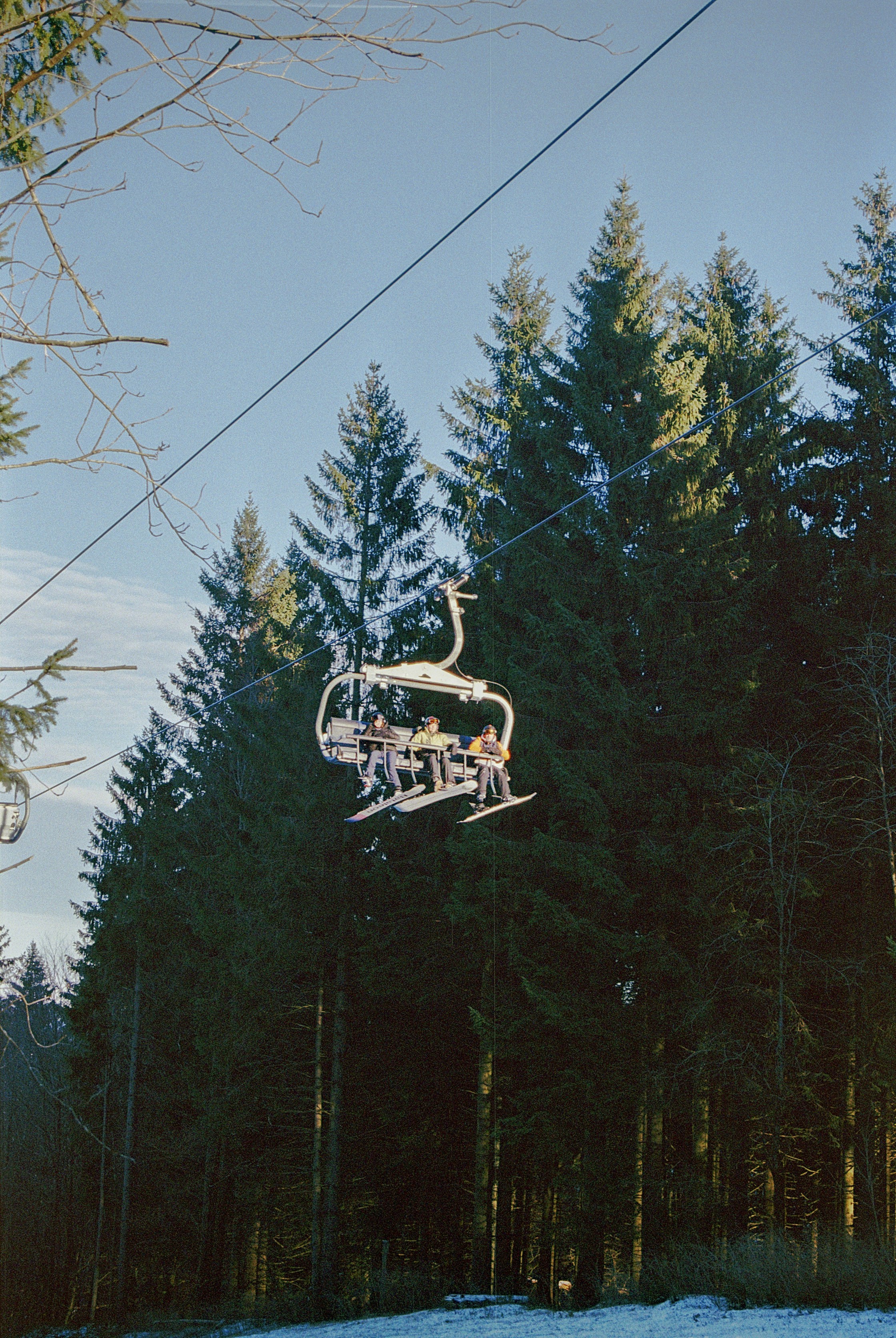 Snowy Lift Ride Under Tall Pines