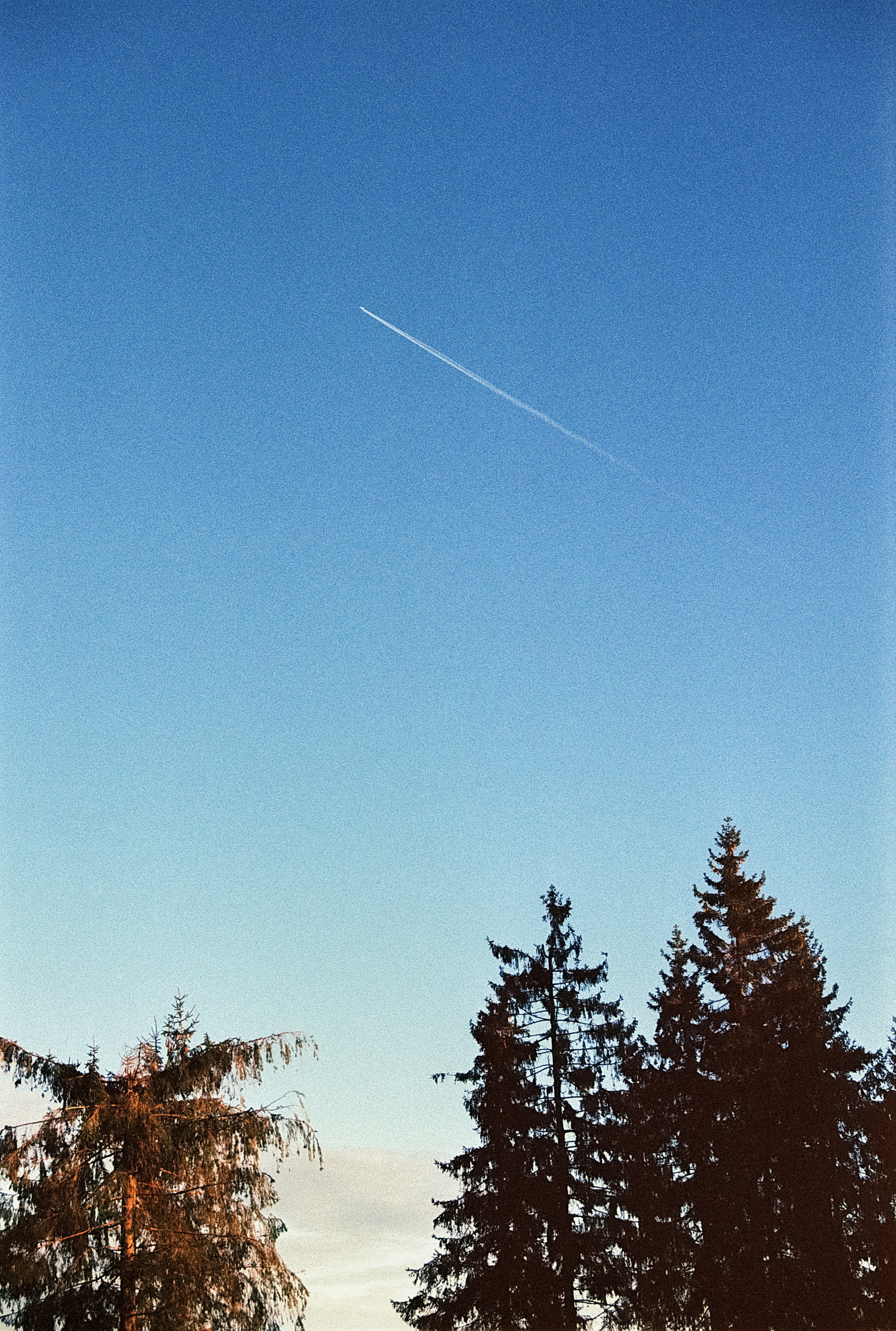 Whispers of the Sky: A Serene Encounter