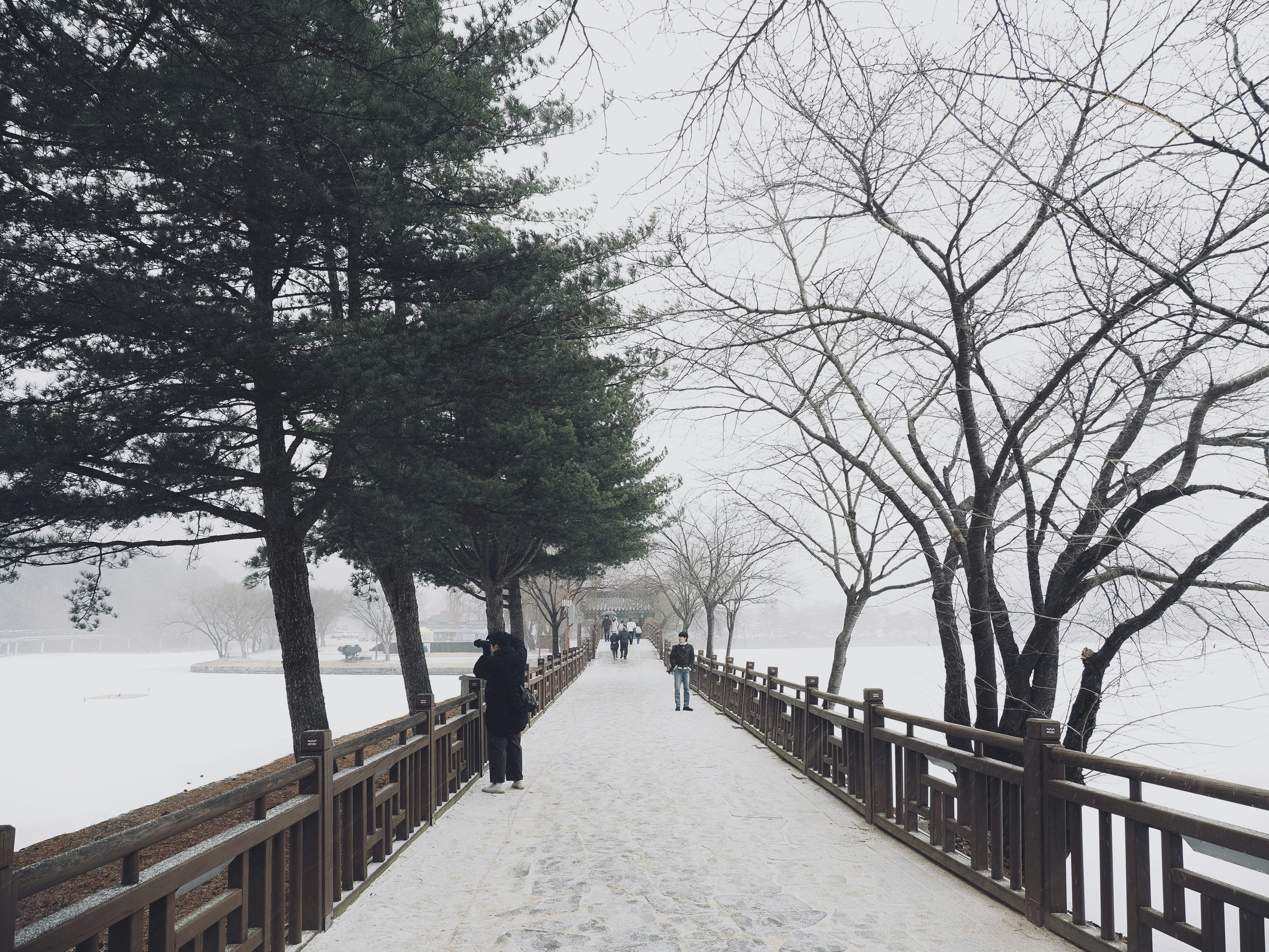 Snow-covered promenade along a wooden railing with bare trees and distant figures receding into a pale, misty background.