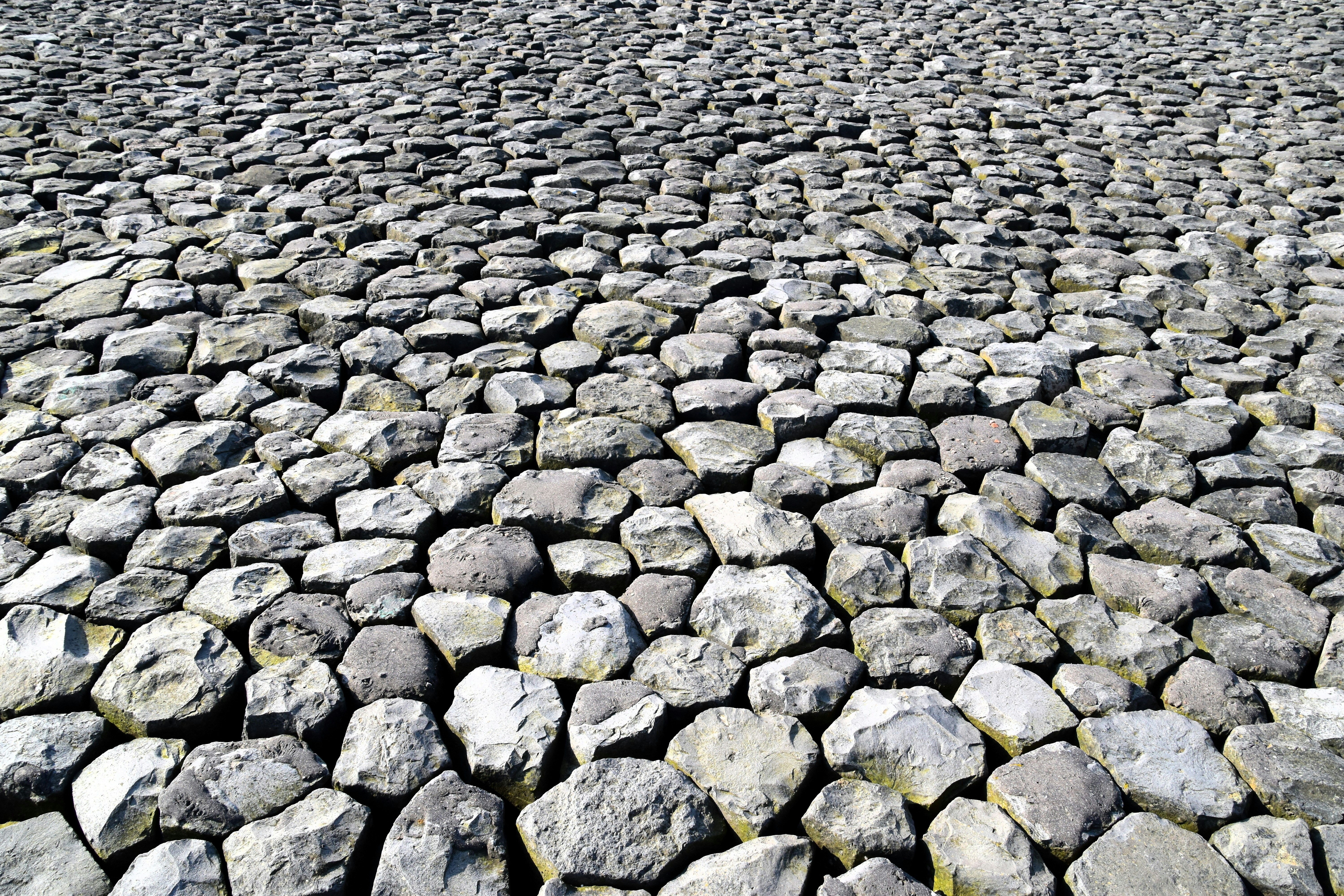 Photo by Waldemar Brandt with Nikon D5600